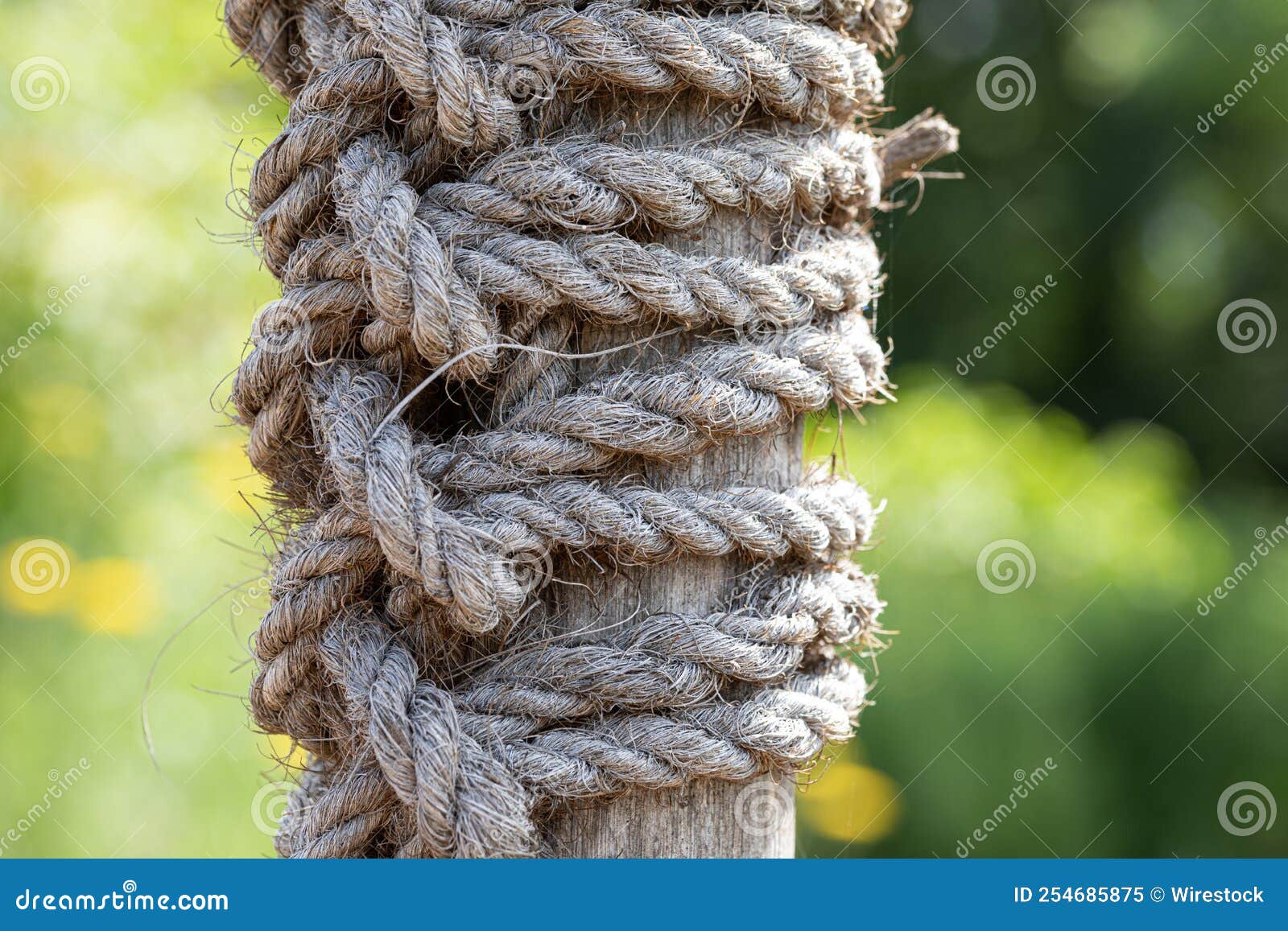 Closeup of Ropes Tied Around a Wooden Pole Stock Image - Image of knot ...