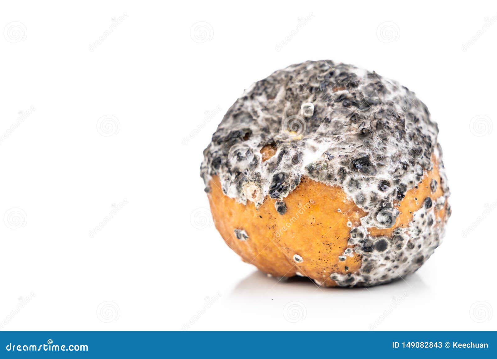 Closeup on Rotten and Moldy Gong Pear Stock Image - Image of mildew ...