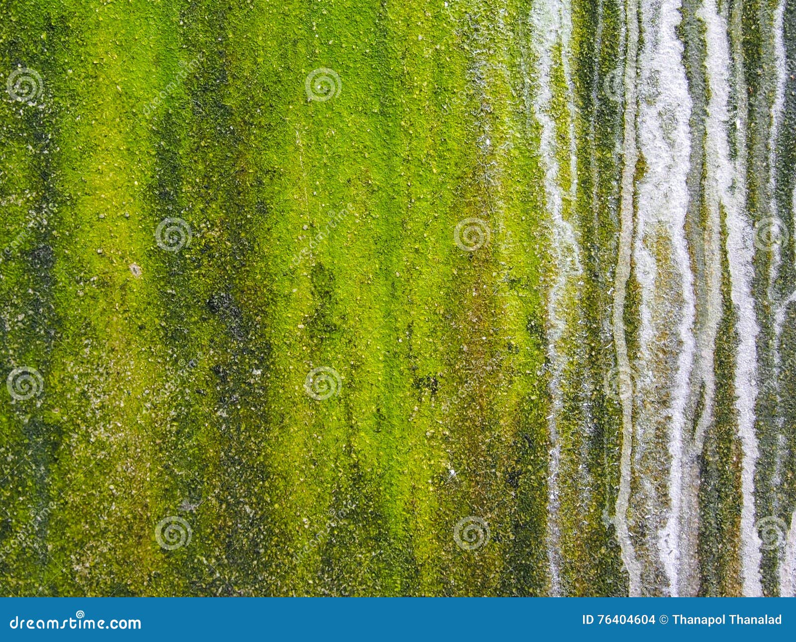 Closeup of Rough Green Textured Background and Boke Stock Photo - Image ...