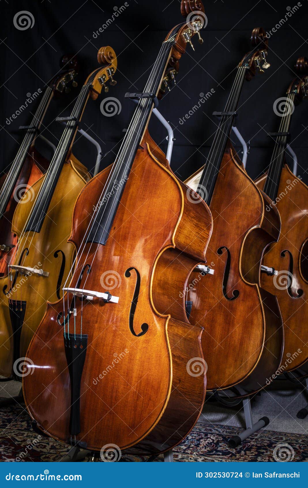Closeup of Row of Double Basses Resting Against Dark Background Stock ...