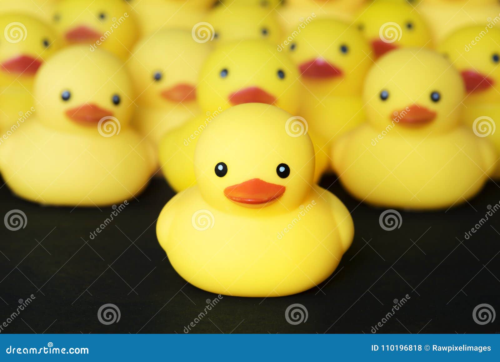 Closeup of Rubber Duckies Collection Stock Photo - Image of bath ...
