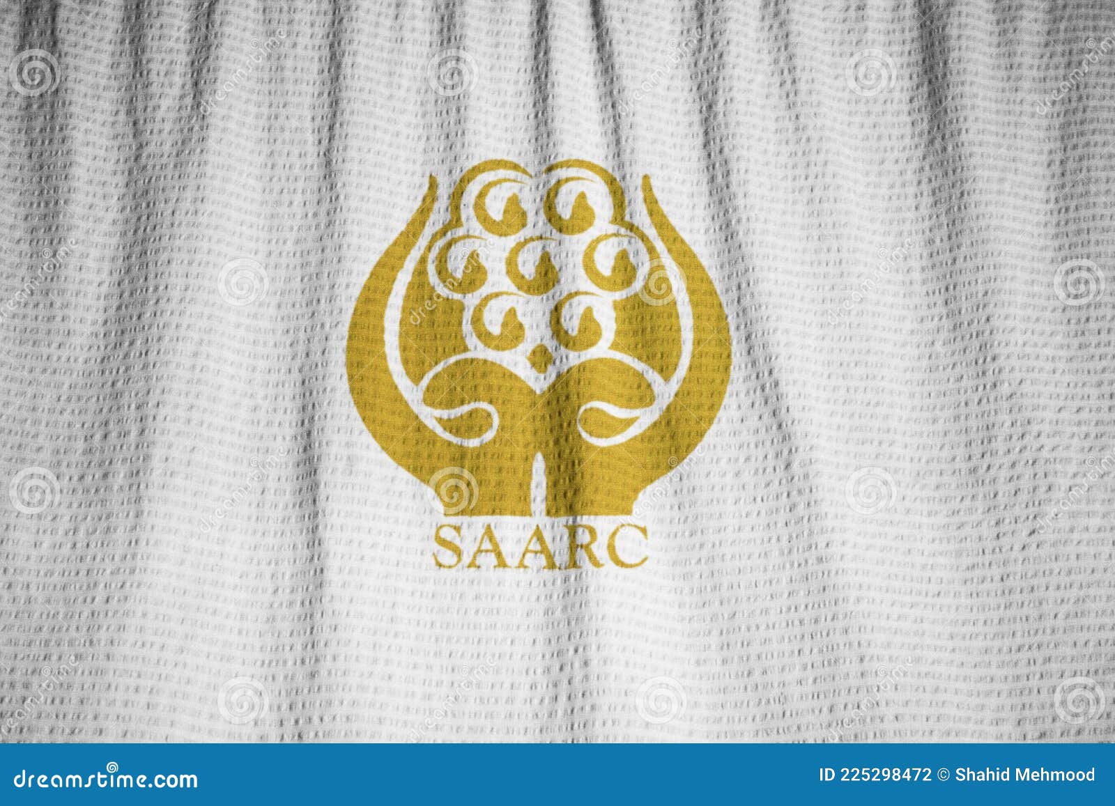 Closeup of Ruffled SAARC Flag, SAARC Flag Blowing in Wind Editorial ...