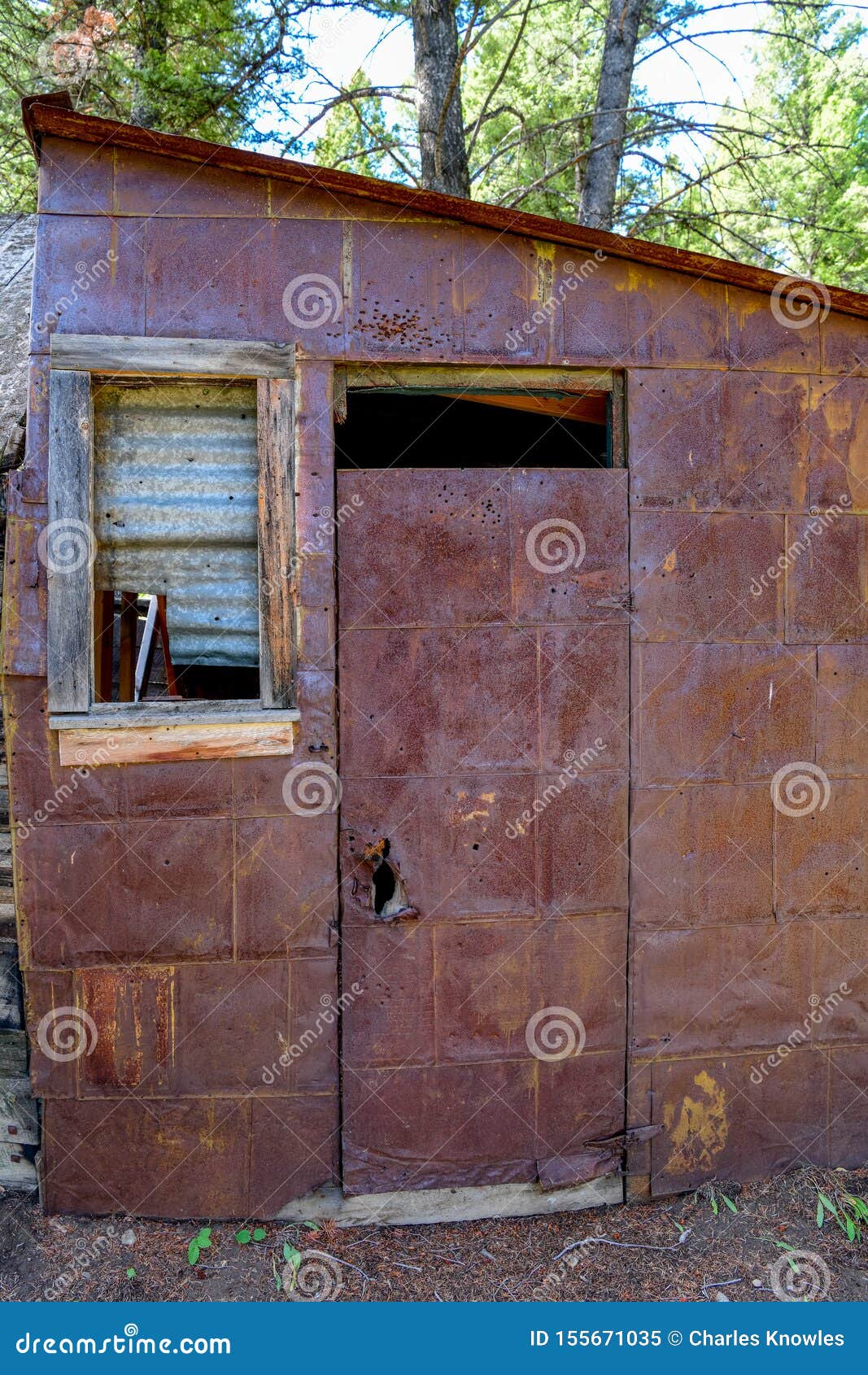 Closeup of a Rusted Old Tin Shed in a Forest Stock Image - Image of ...