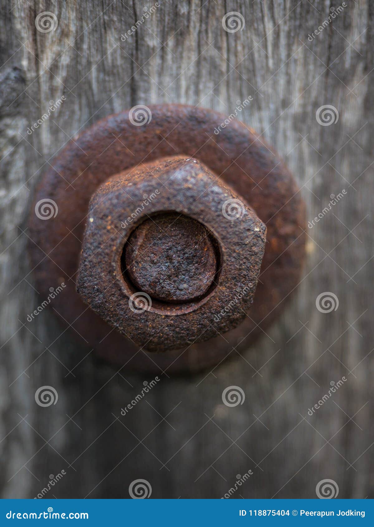 Closeup Rusty Nut on Wooden Pole Stock Photo - Image of solid, pole ...