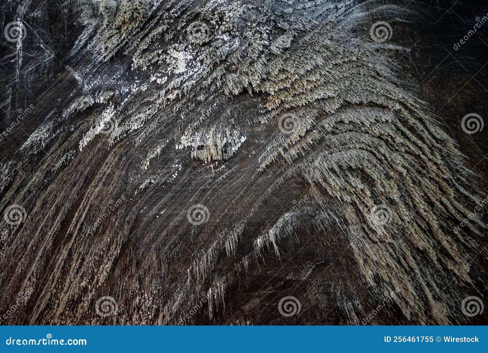Closeup of a Salt Mine Wall with Beautiful Textures and Patterns Stock ...