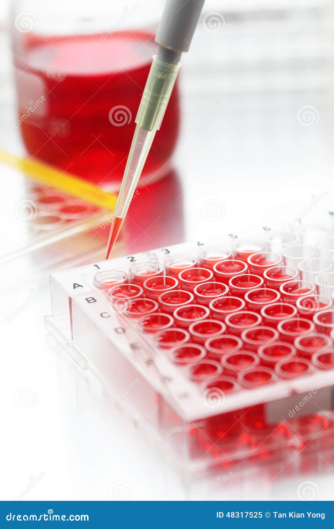 Closeup on Sample Being Dropped into Well Plate in Laboratory Stock ...