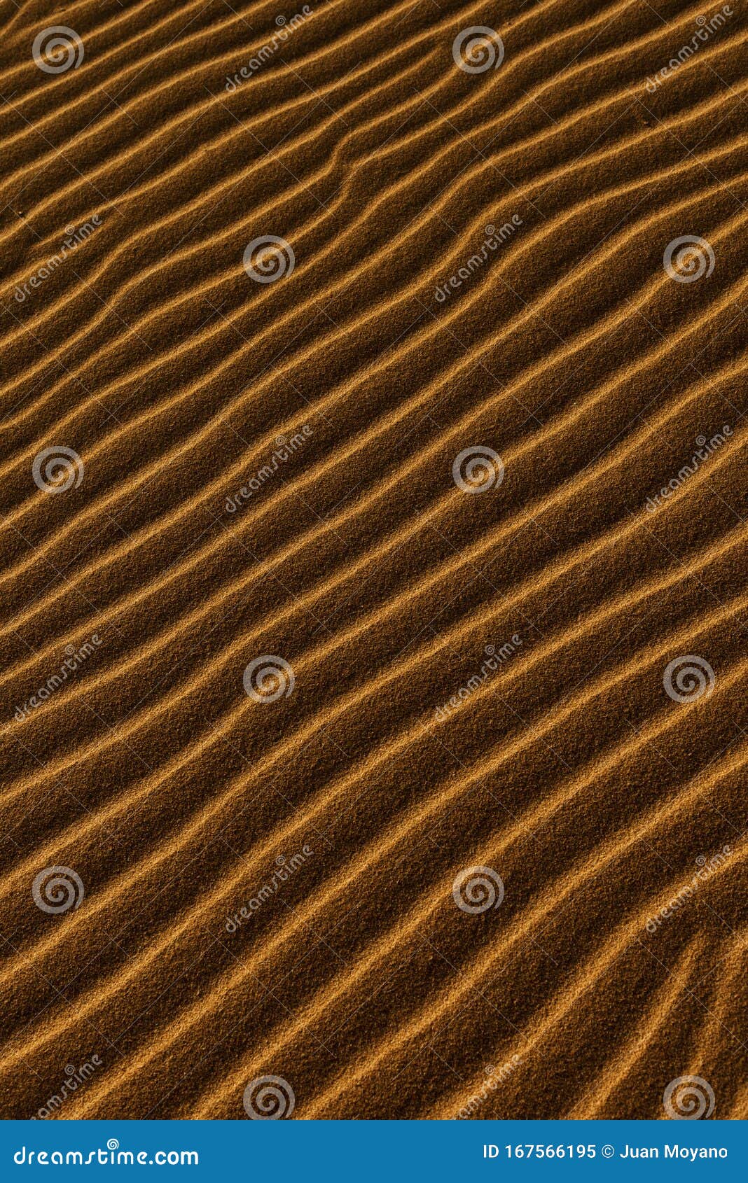 Sand Background with a Wavy Pattern Stock Image - Image of vacation ...