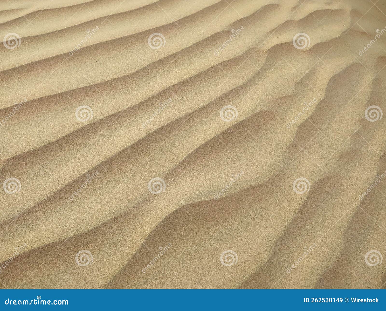 Closeup of Sand Dune Texture Stock Image - Image of grass, texture ...