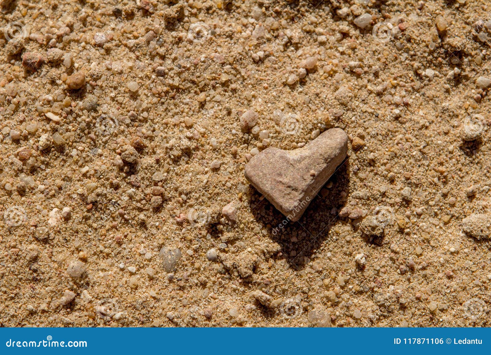 Closeup of a Sand Pattern with a Heart Shaped Stone and a Tick Stock ...