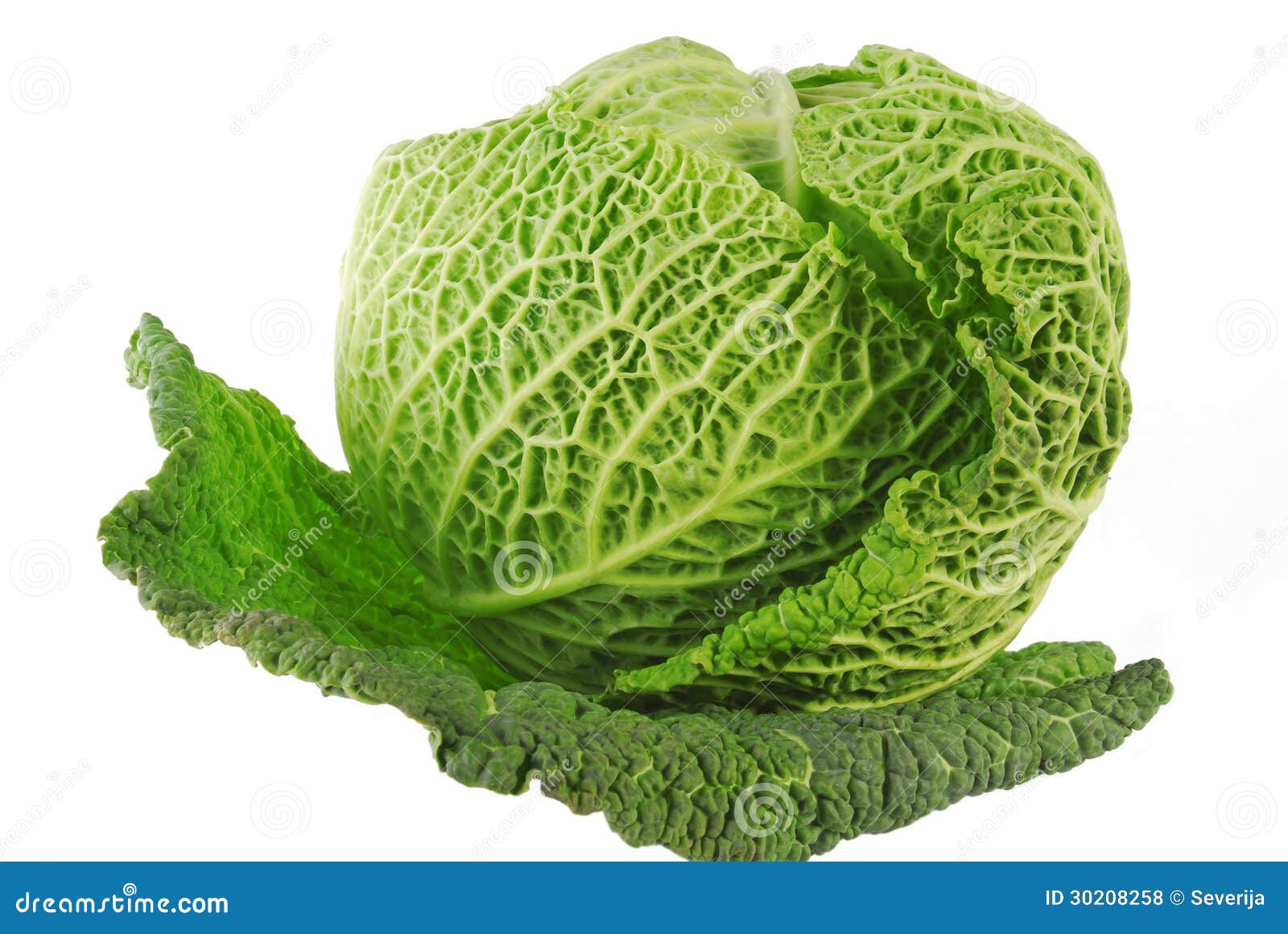Savoy cabbage isolated stock photo. Image of ingredient - 30208258
