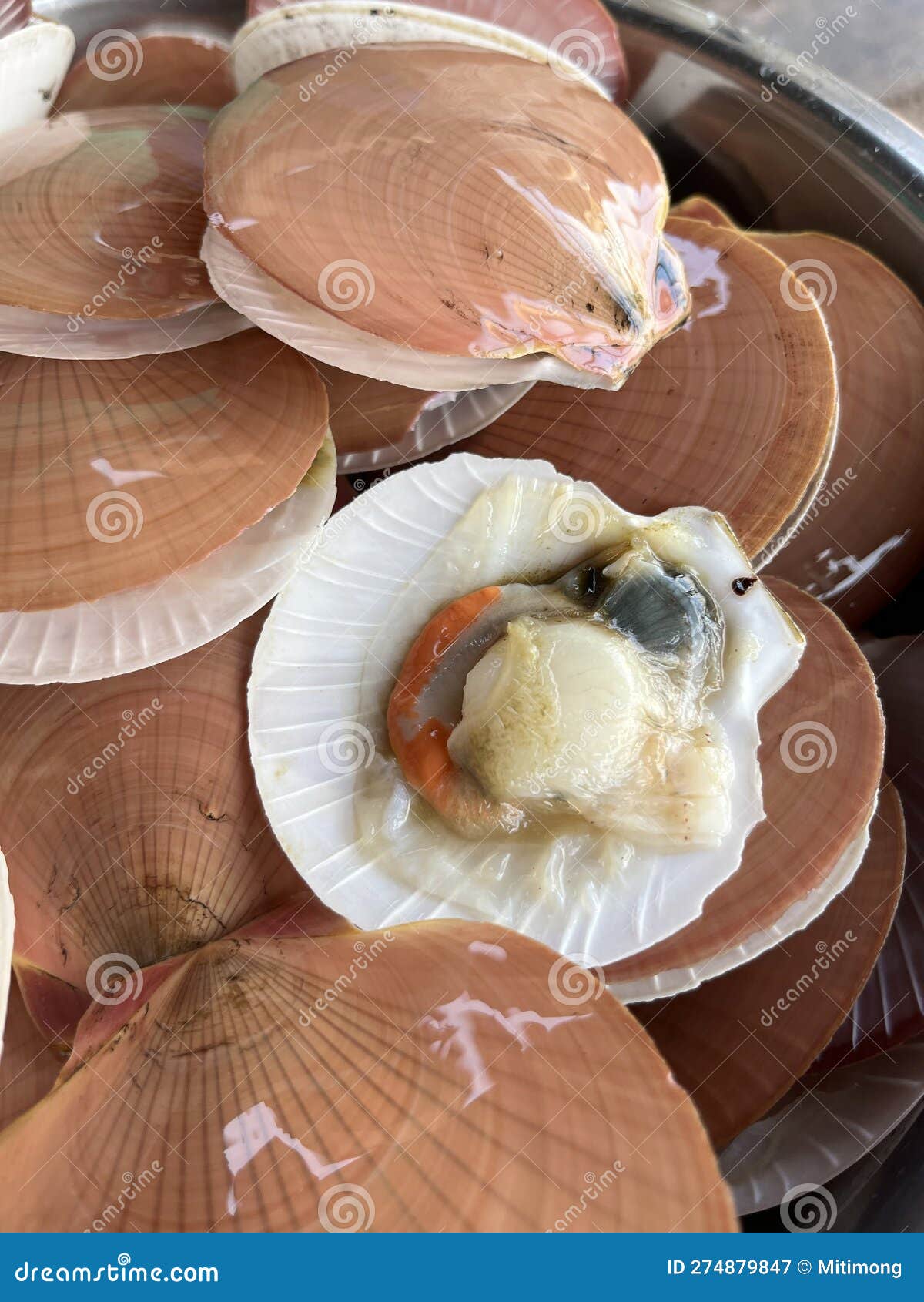 Closeup of Scallops Prepared for Cooking Stock Image - Image of dessert ...