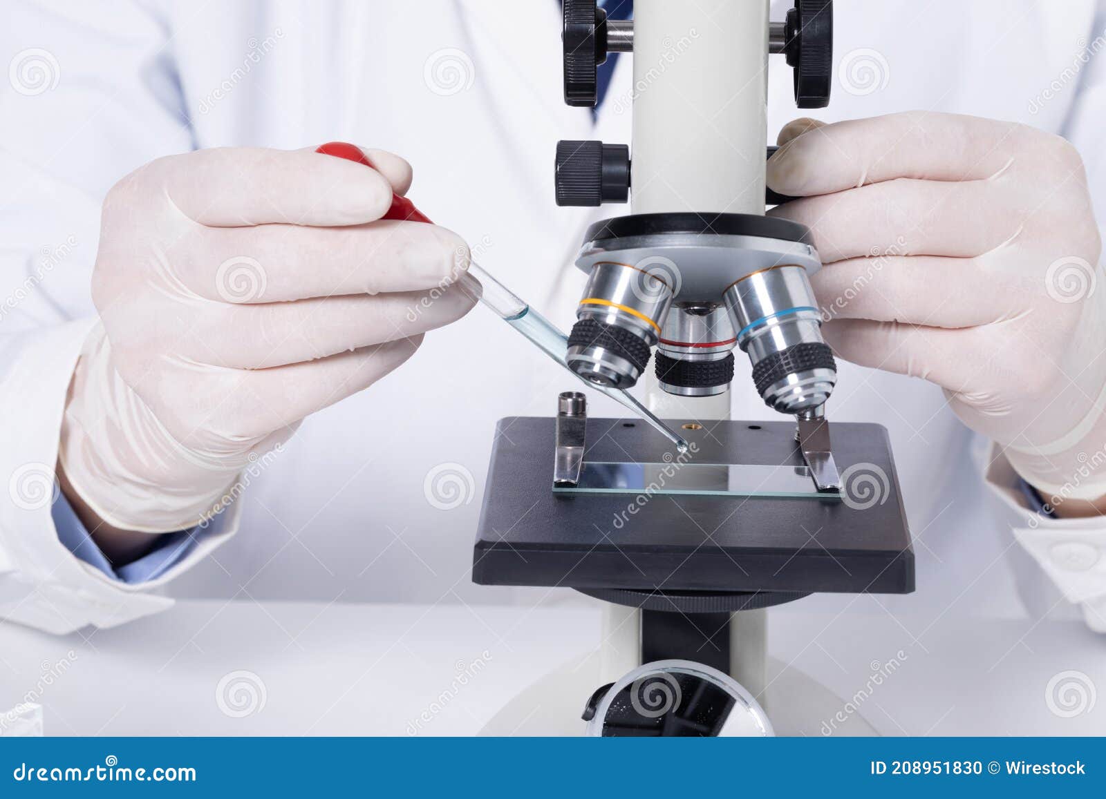 Closeup of a Scientist Examining Toxic Substances for Food Under a ...