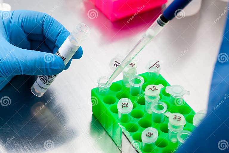 Closeup of a Scientist Extracting DNA Using the Spin Column-based ...