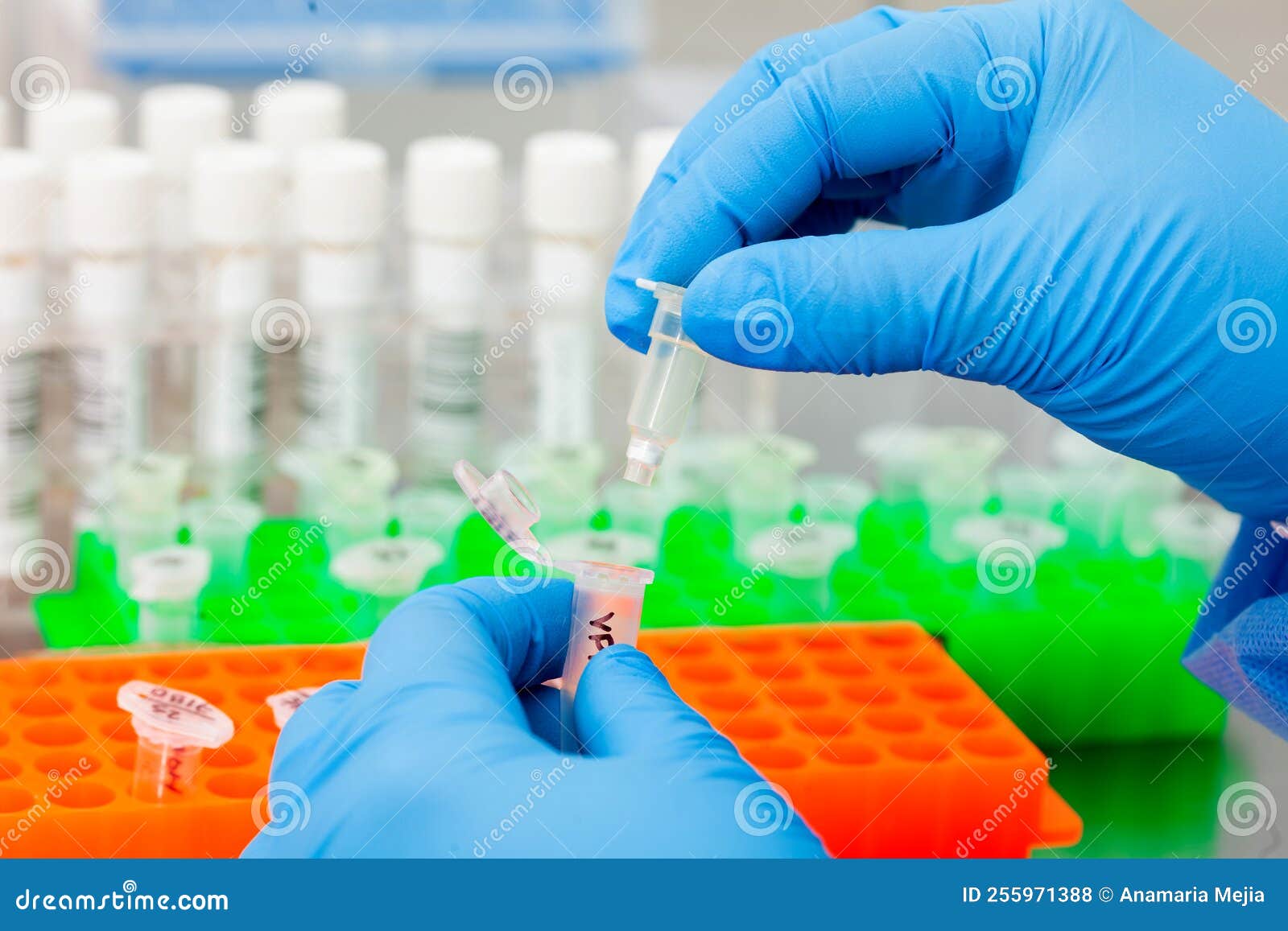Closeup of Scientist Hands while Extracting DNA Using the Spin Column ...
