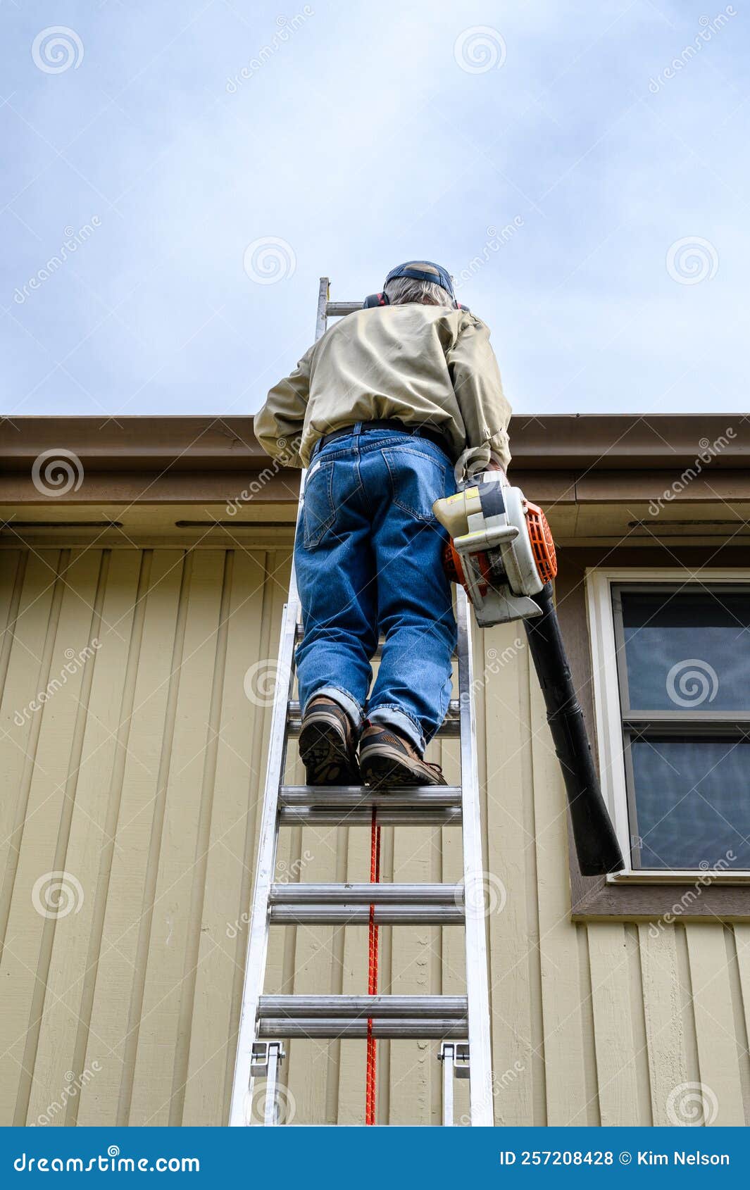 Closeup of a Senior Man Climbing a Ladder with a Leaf Blower, Fall ...