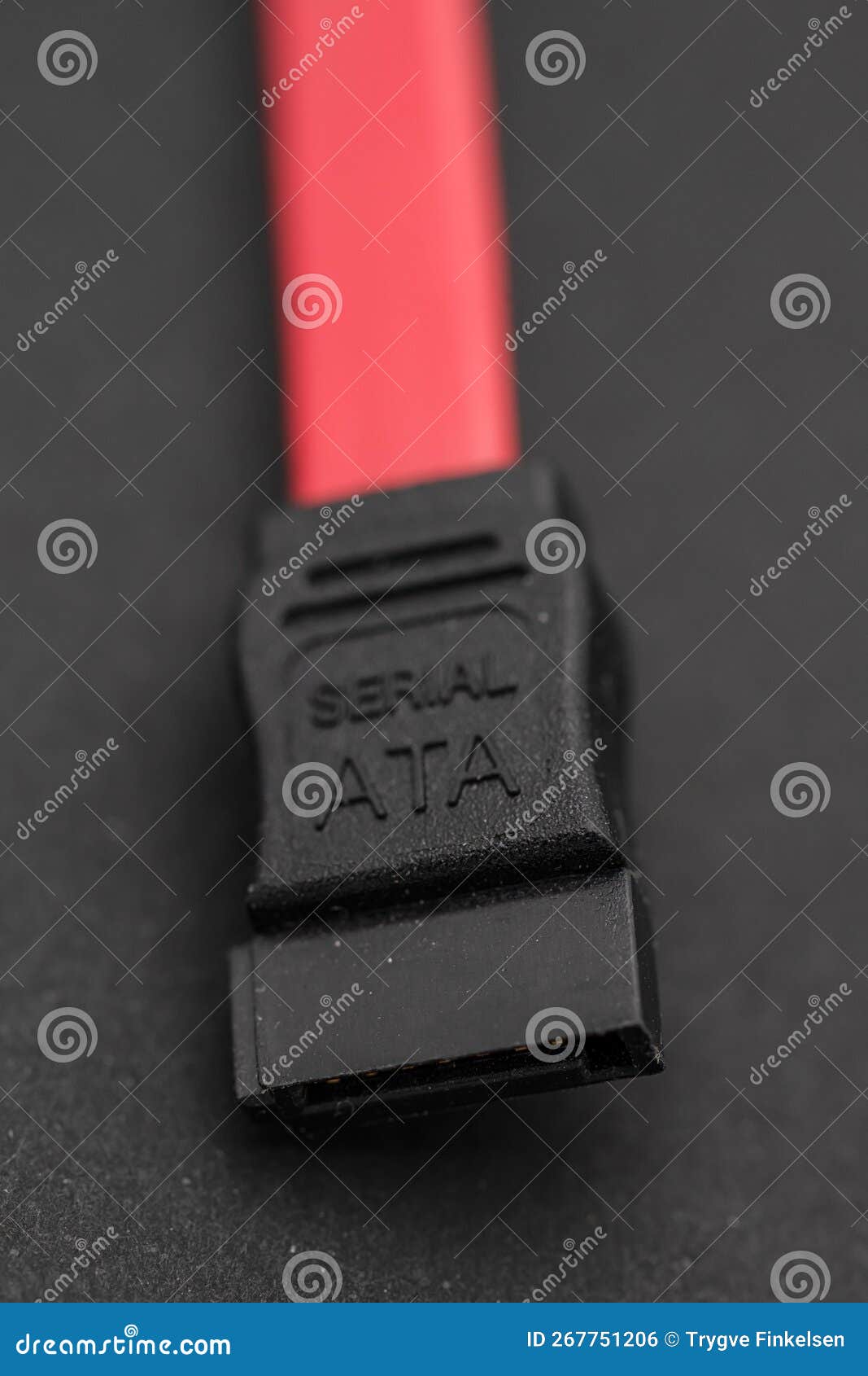Closeup of a Serial ATA Connector.. Stock Photo - Image of harddrive ...