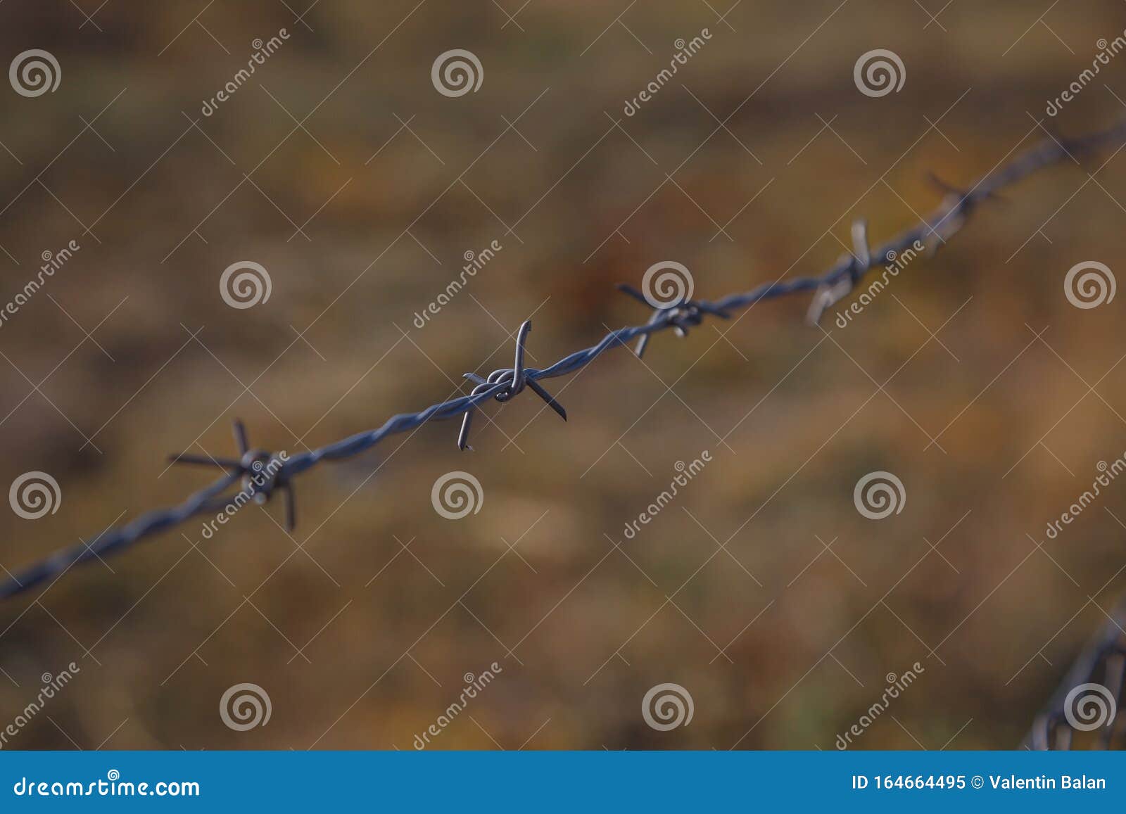 Closeup of a Sharp Barbed Wire Twist Stock Image - Image of object ...