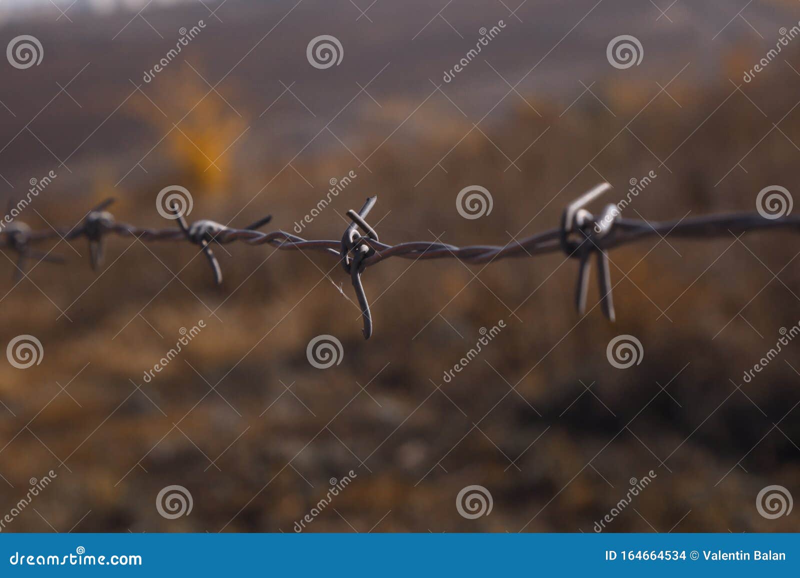 Closeup of a Sharp Barbed Wire Twist Stock Photo - Image of object ...