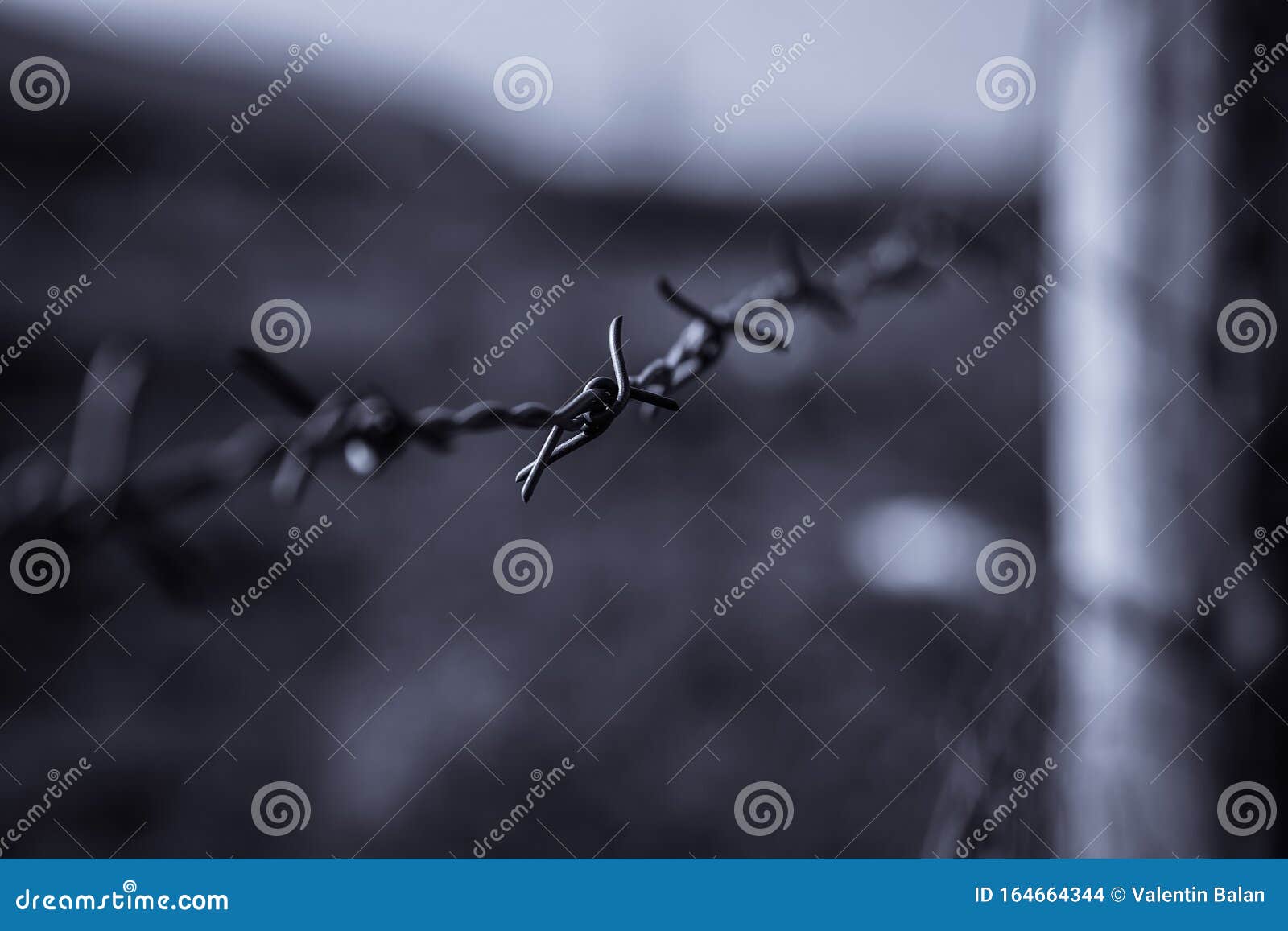 Closeup of a Sharp Barbed Wire Twist Stock Photo - Image of prison ...