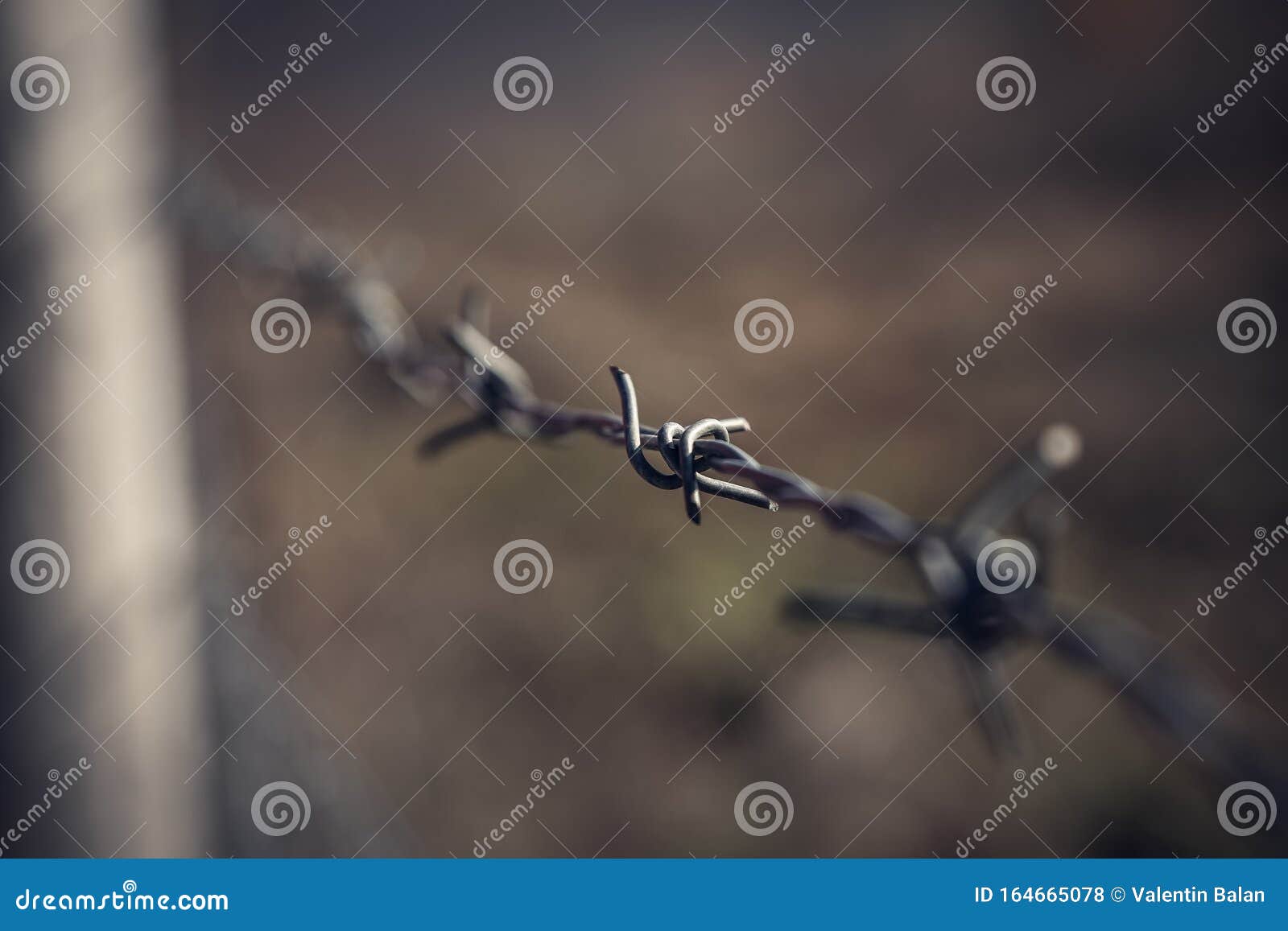 Closeup of a Sharp Barbed Wire Twist Stock Photo - Image of barrier ...