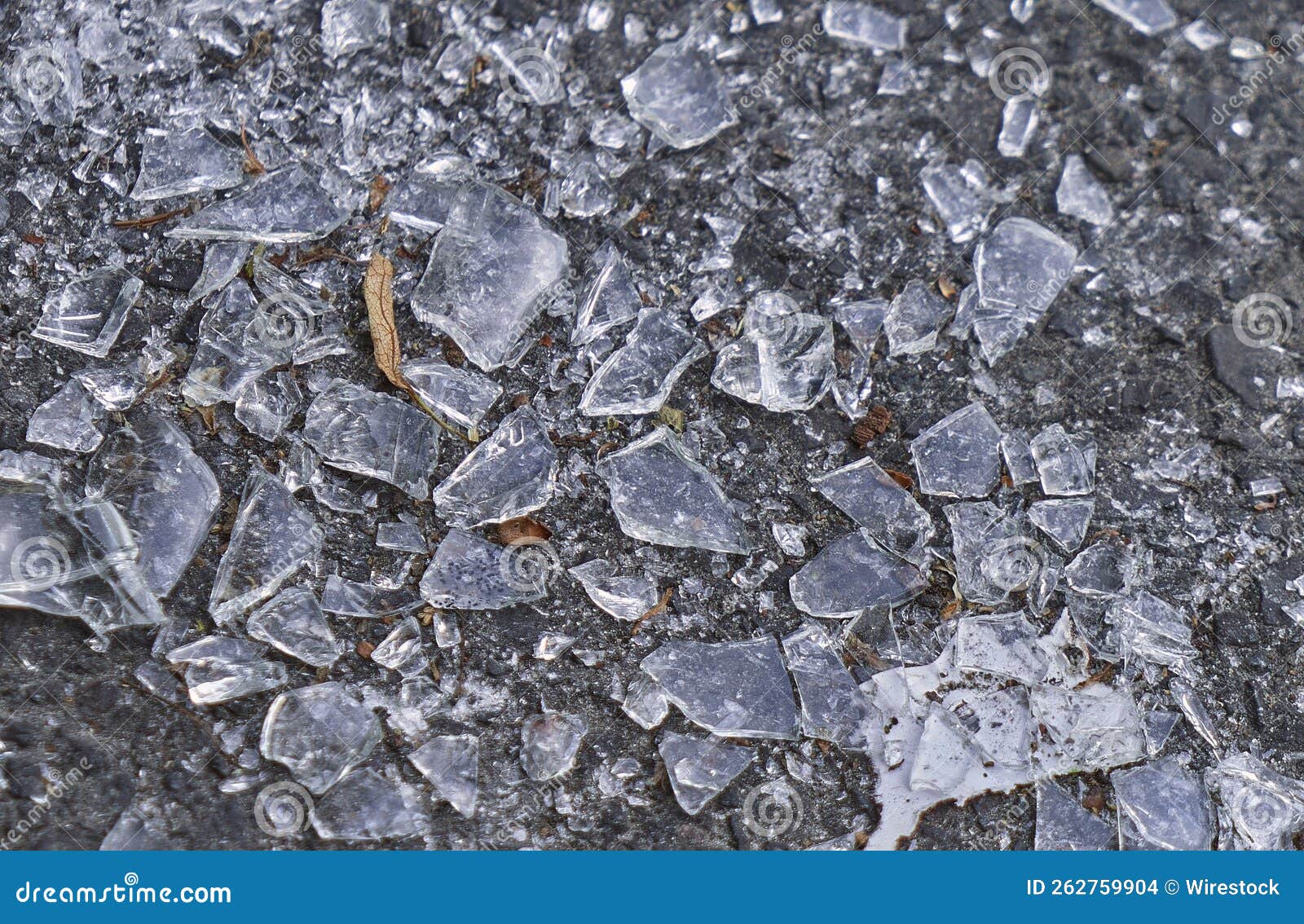Closeup of Shattered Glass Scattered on the Ground Stock Photo - Image ...