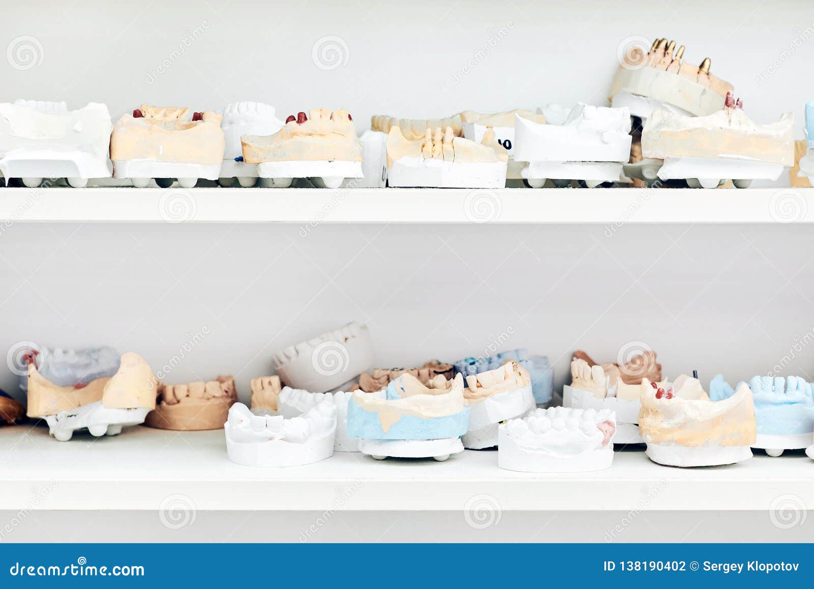 A Closeup of a Shelf with the Casts of Human Teeth and Dentures Stock ...