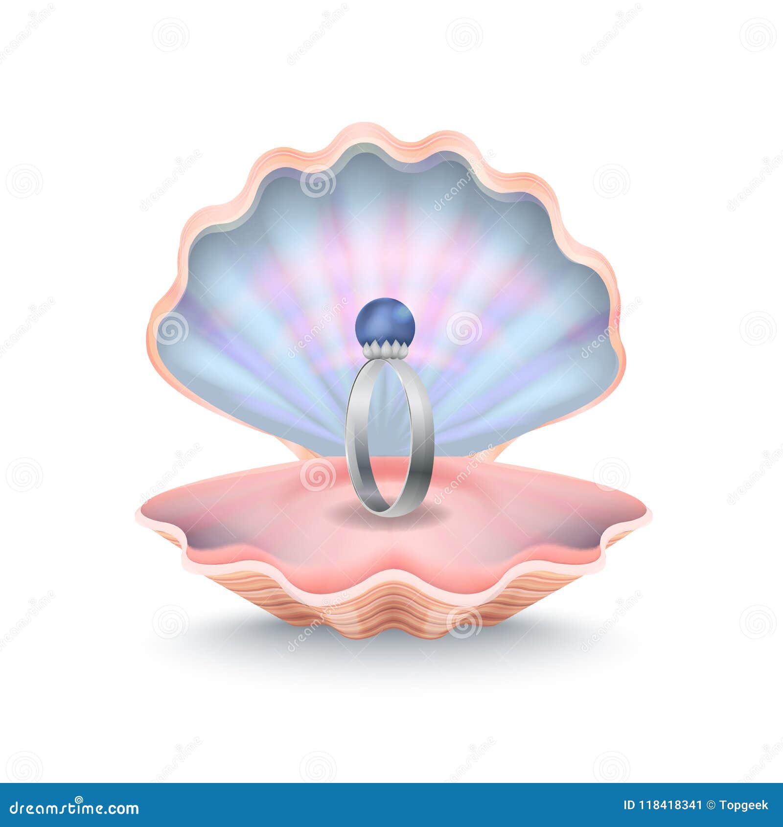 Closeup of Shell and Ring Vector Illustration Stock Vector ...