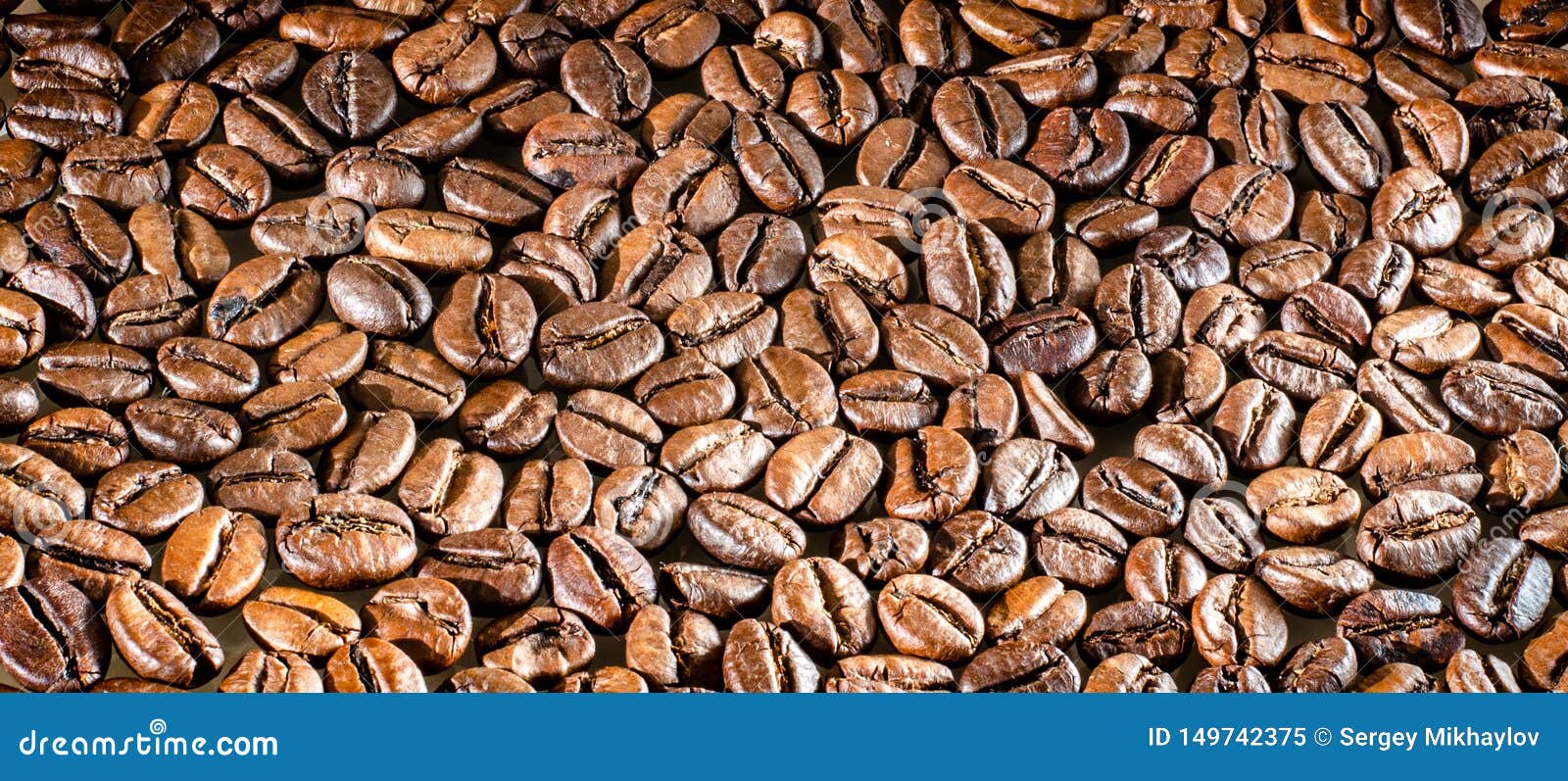 Closeup of Shiny Coffee Beans Stock Image - Image of grain, color ...