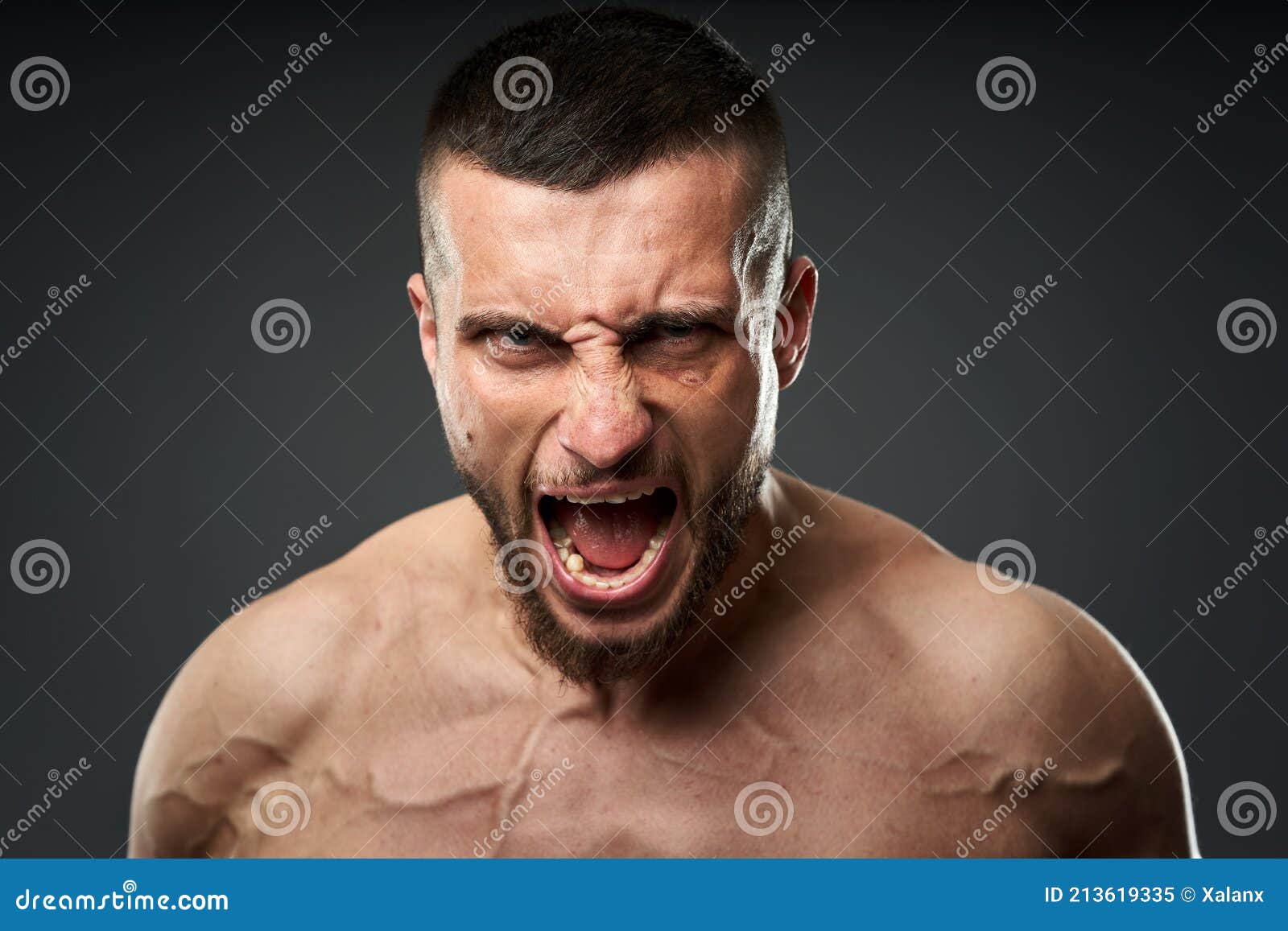Bruised Fighter on Gray Background Stock Image - Image of posing, grey ...