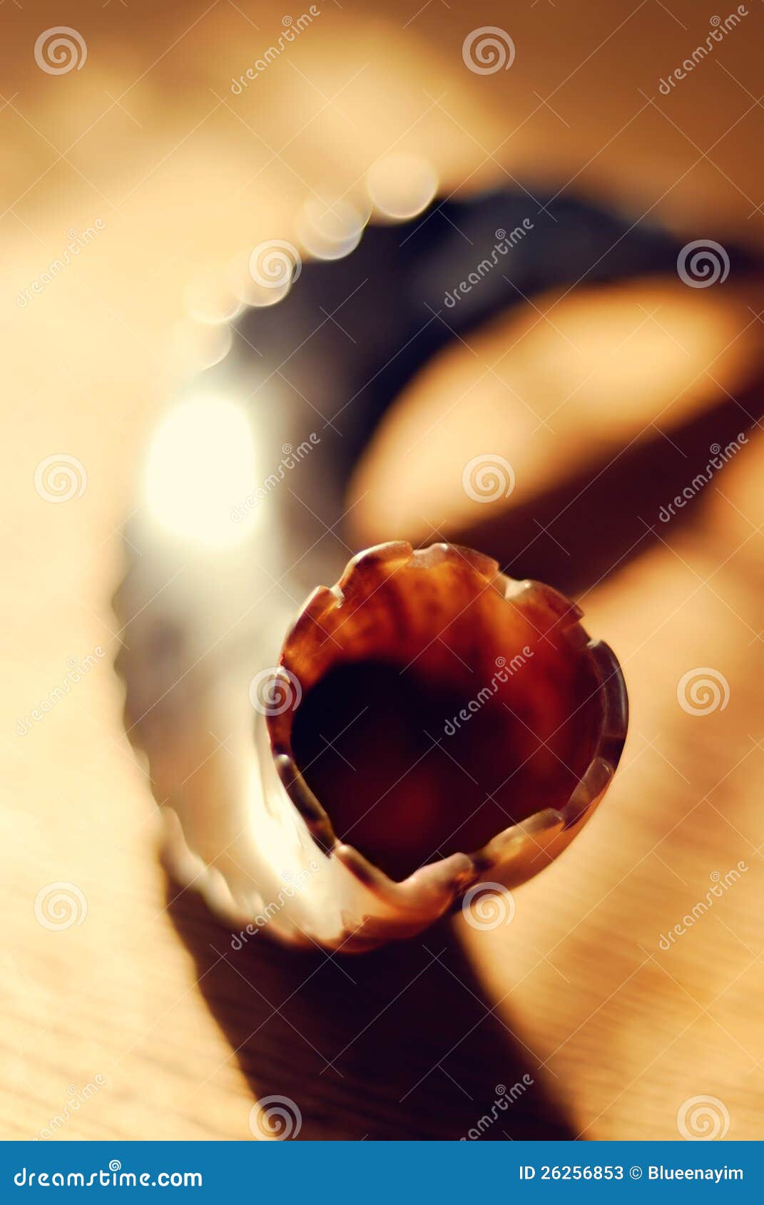 Closeup of shofar stock image. Image of hashana, culture - 26256853
