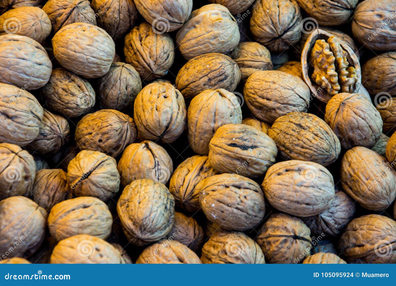 Closeup Shoot of the Walnuts Stock Photo - Image of open, snack: 105095924