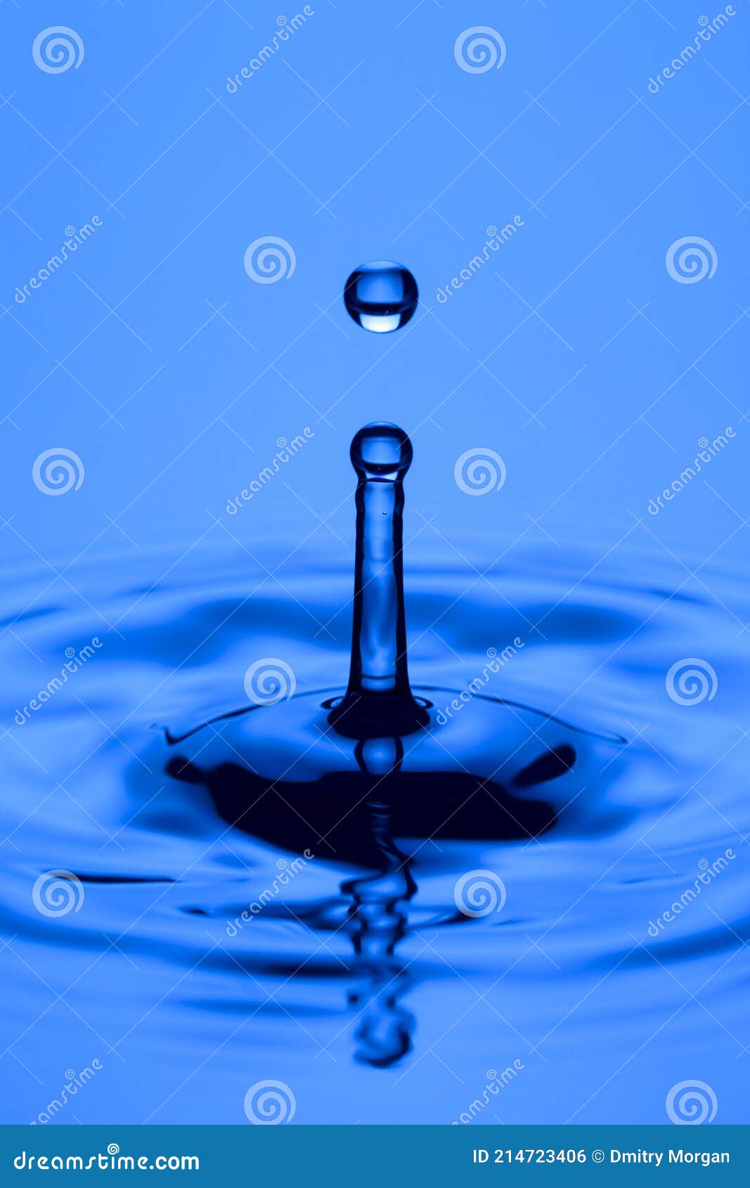Closeup Shot of Abstract Blue Water Splash or Rain Drop with Stem ...