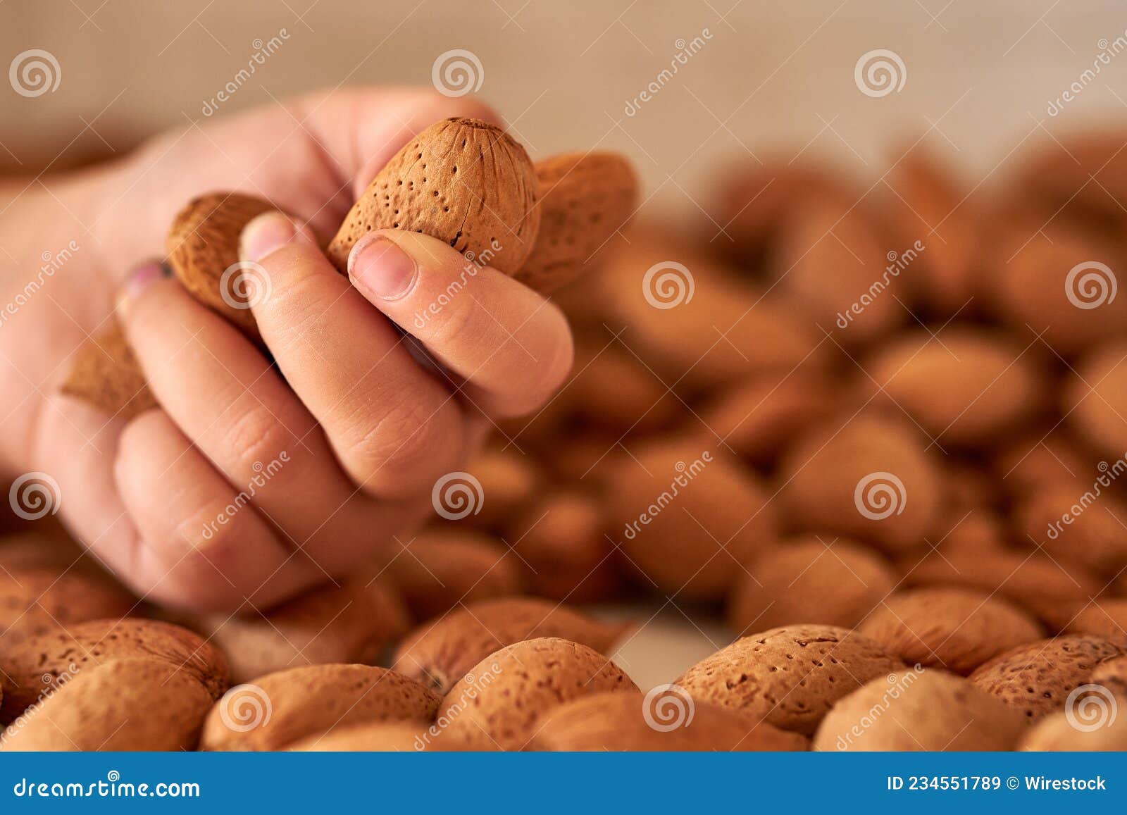 Closeup Shot of Almond Nuts on Human Hand. Stock Image - Image of ...