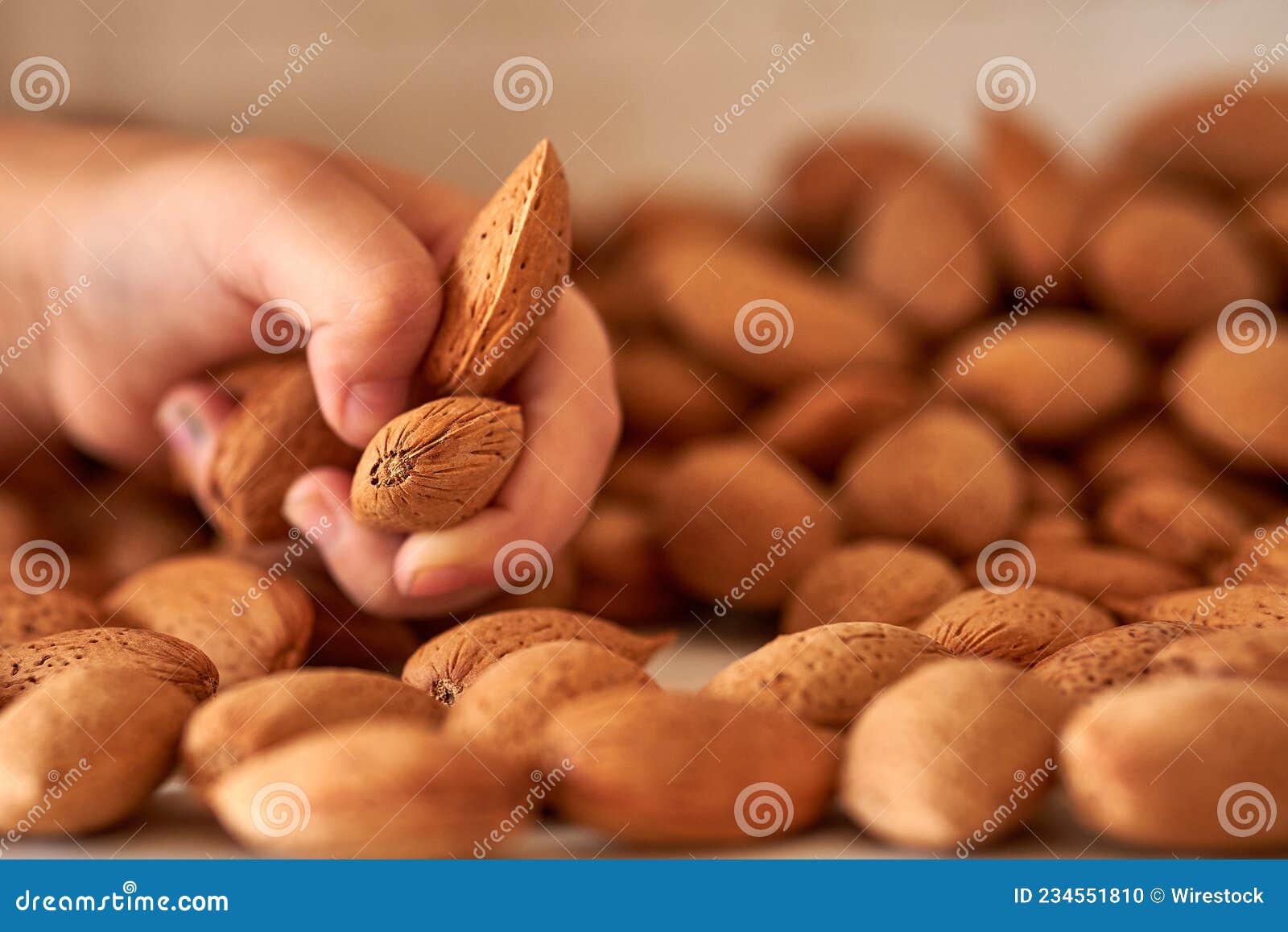 Closeup Shot of Almond Nuts on Human Hand. Stock Photo - Image of ...