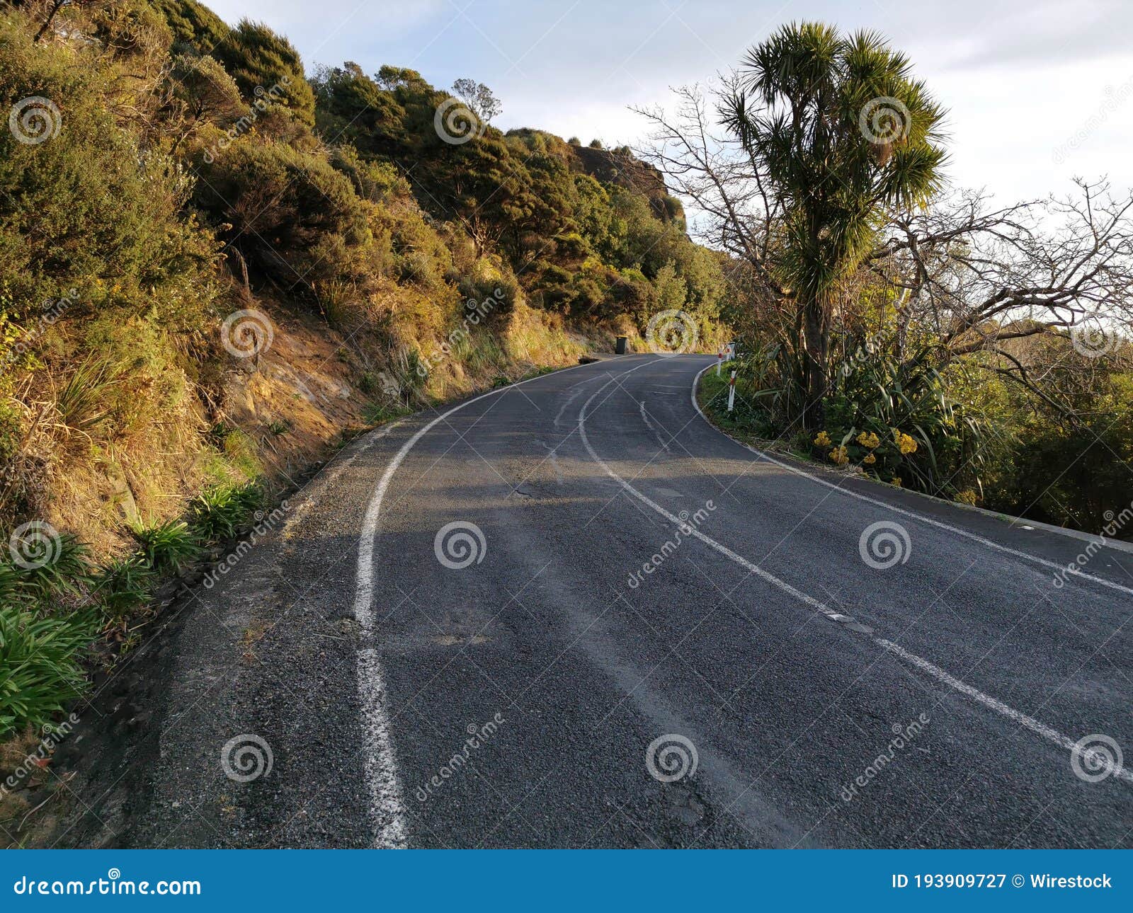 Closeup Shot of a Asphalt Road Curve with Greenery on the Side Stock ...