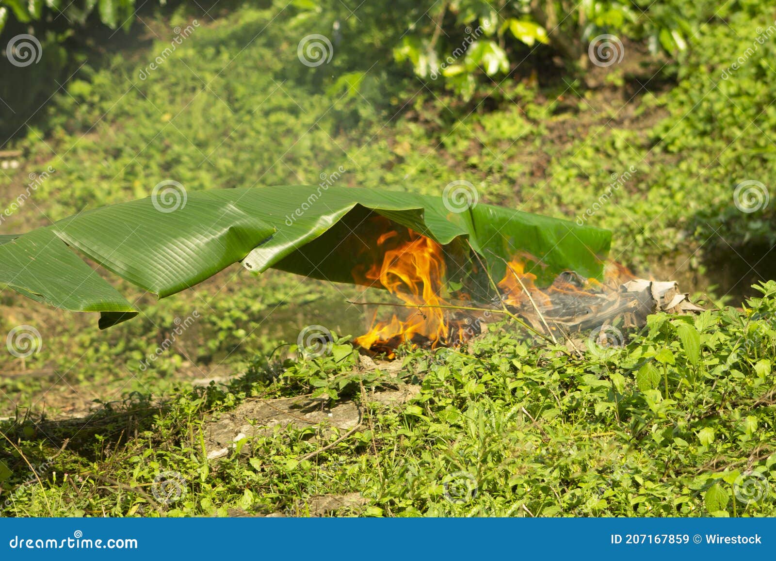Closeup Shot of a Banana Leaf Being Burned on a Small Fire Stock Image ...