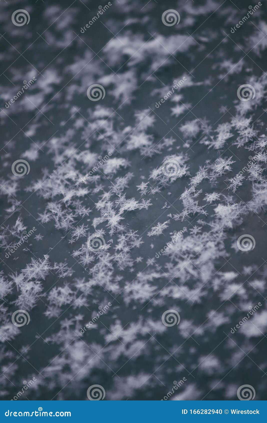 Closeup Shot of Beautiful Large Fallen Snow Particles with Amazing ...