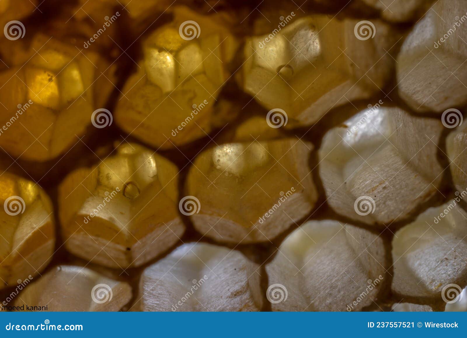 Closeup Shot of a Beehive Texture Stock Image - Image of honey, surface ...