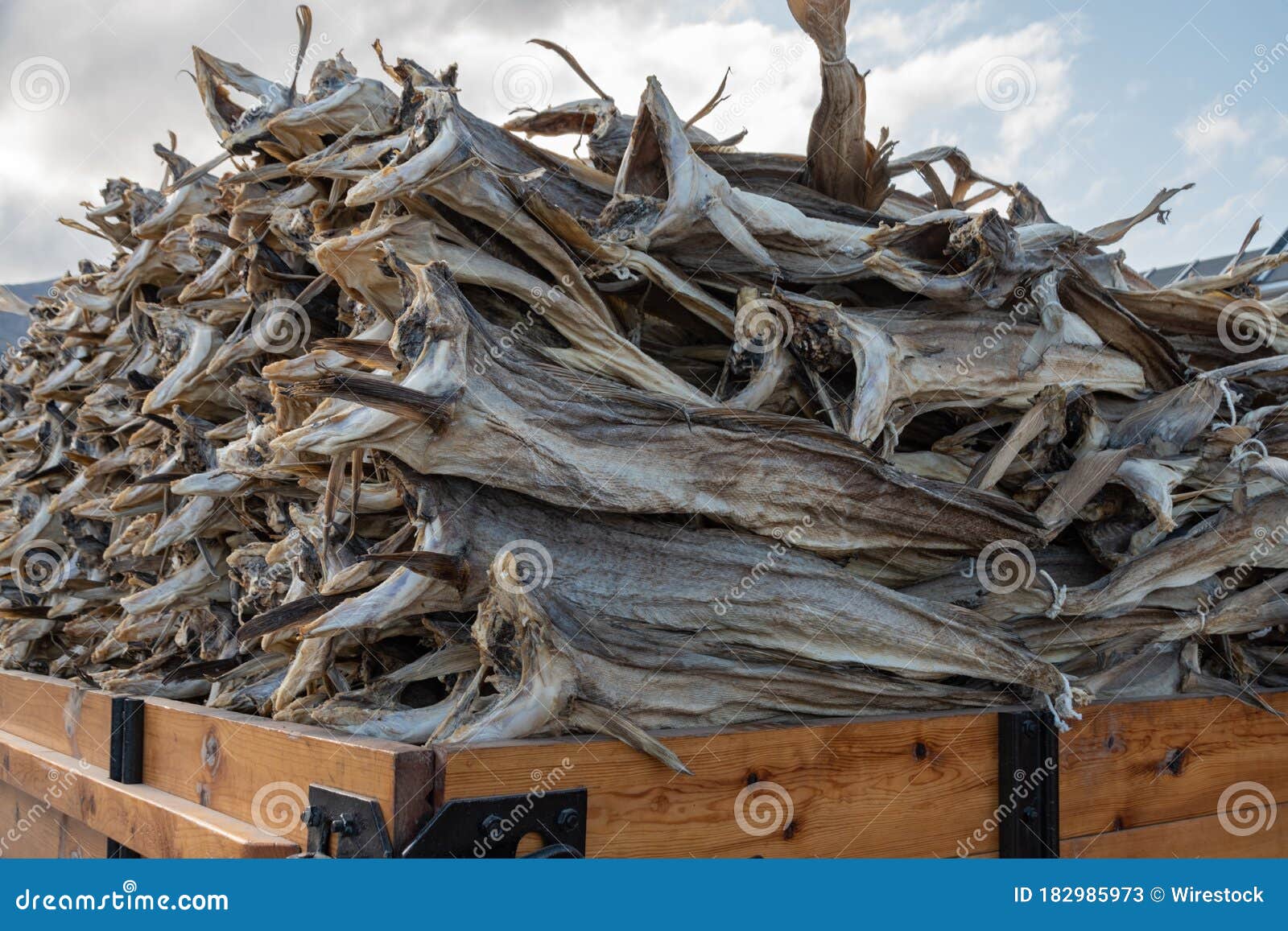 Closeup Shot of a Big Stack of Dried Stockfish Stock Image - Image of ...