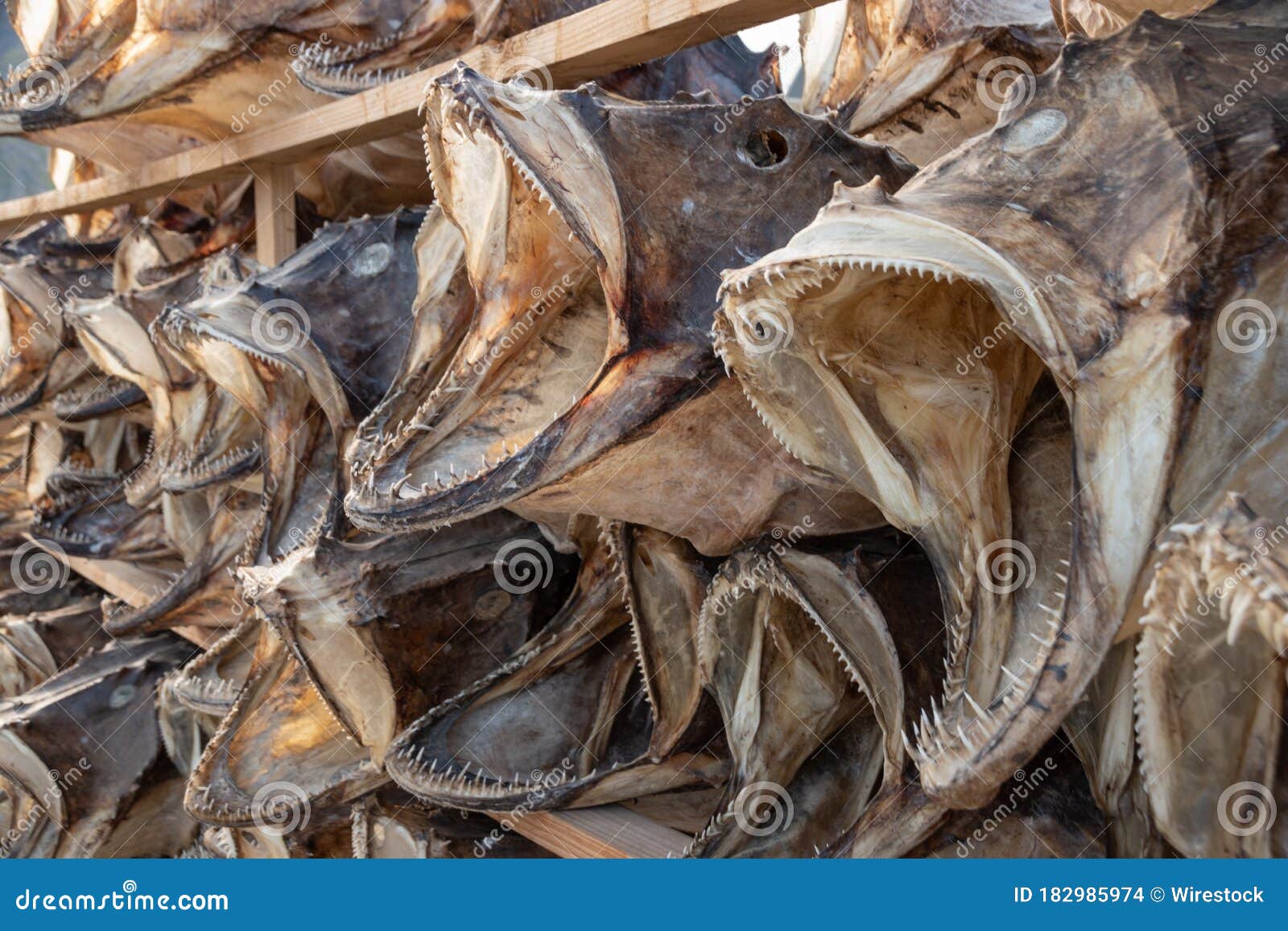 Closeup Shot of a Big Stack of Dried Stockfish Stock Photo - Image of ...