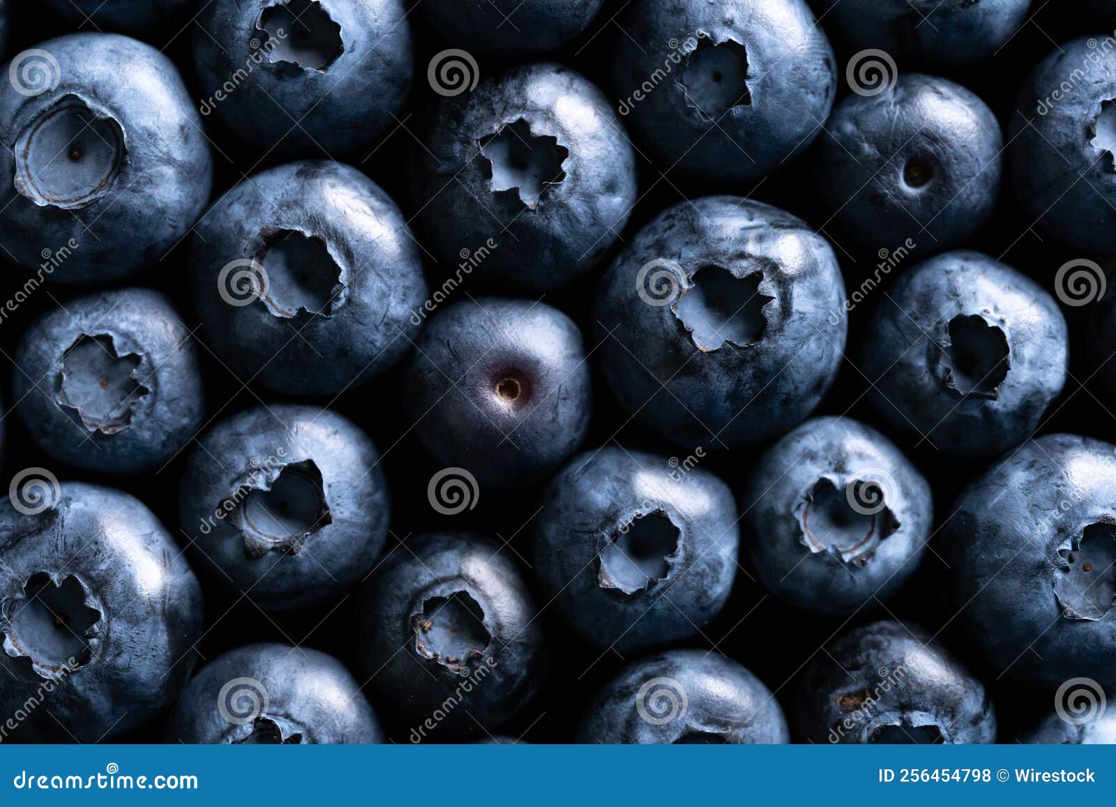 Closeup Shot of Blueberry Fruits Stock Photo - Image of organic, macro ...