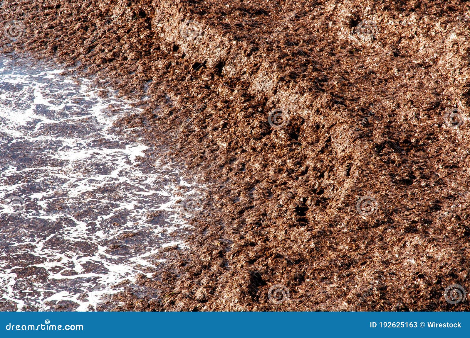 Closeup Shot of Brown Sandy Beach Stock Image - Image of tropical ...