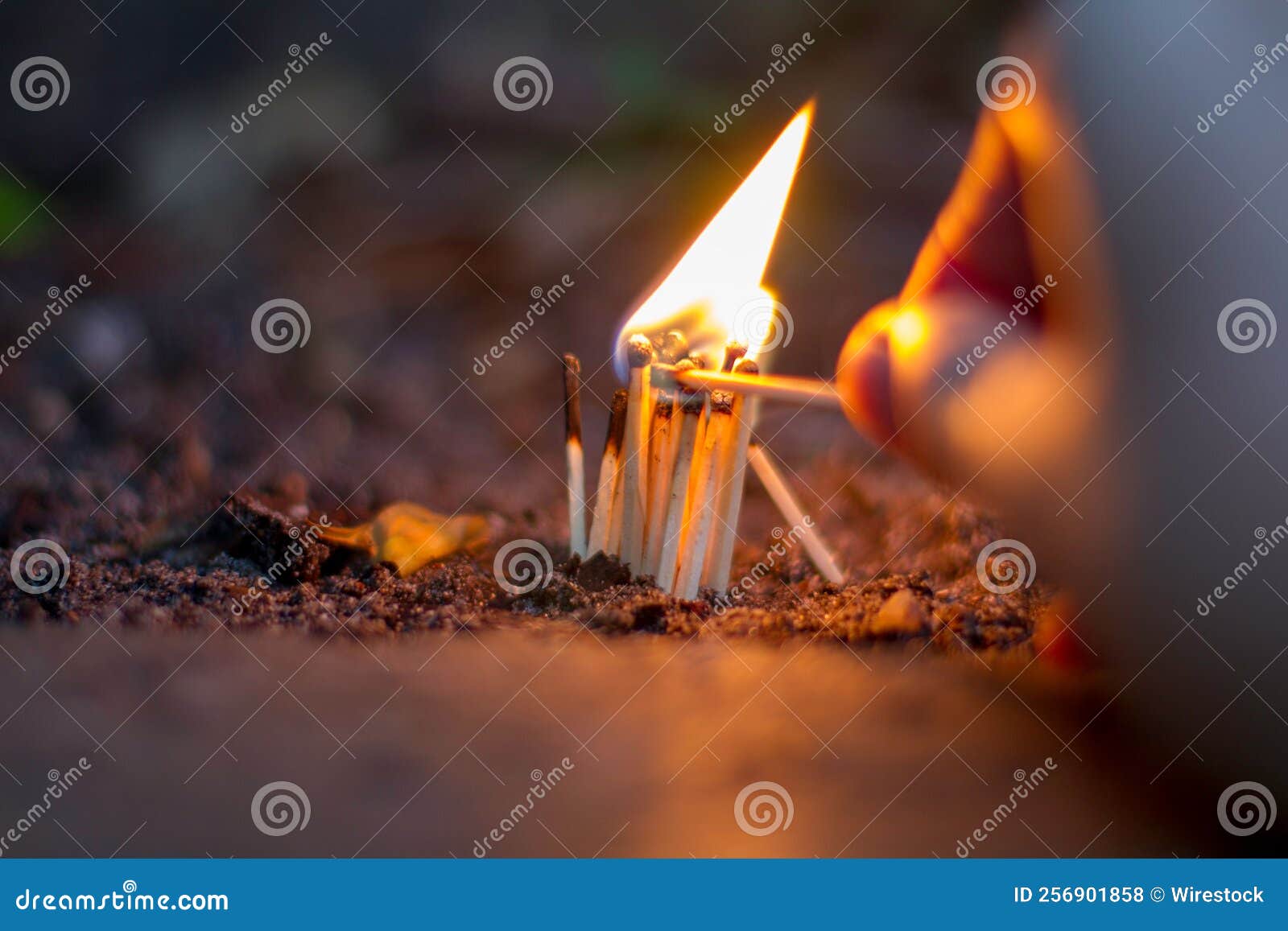 Closeup Shot of a Bunch of Matches Stuck Onto a Surface and a Hand ...