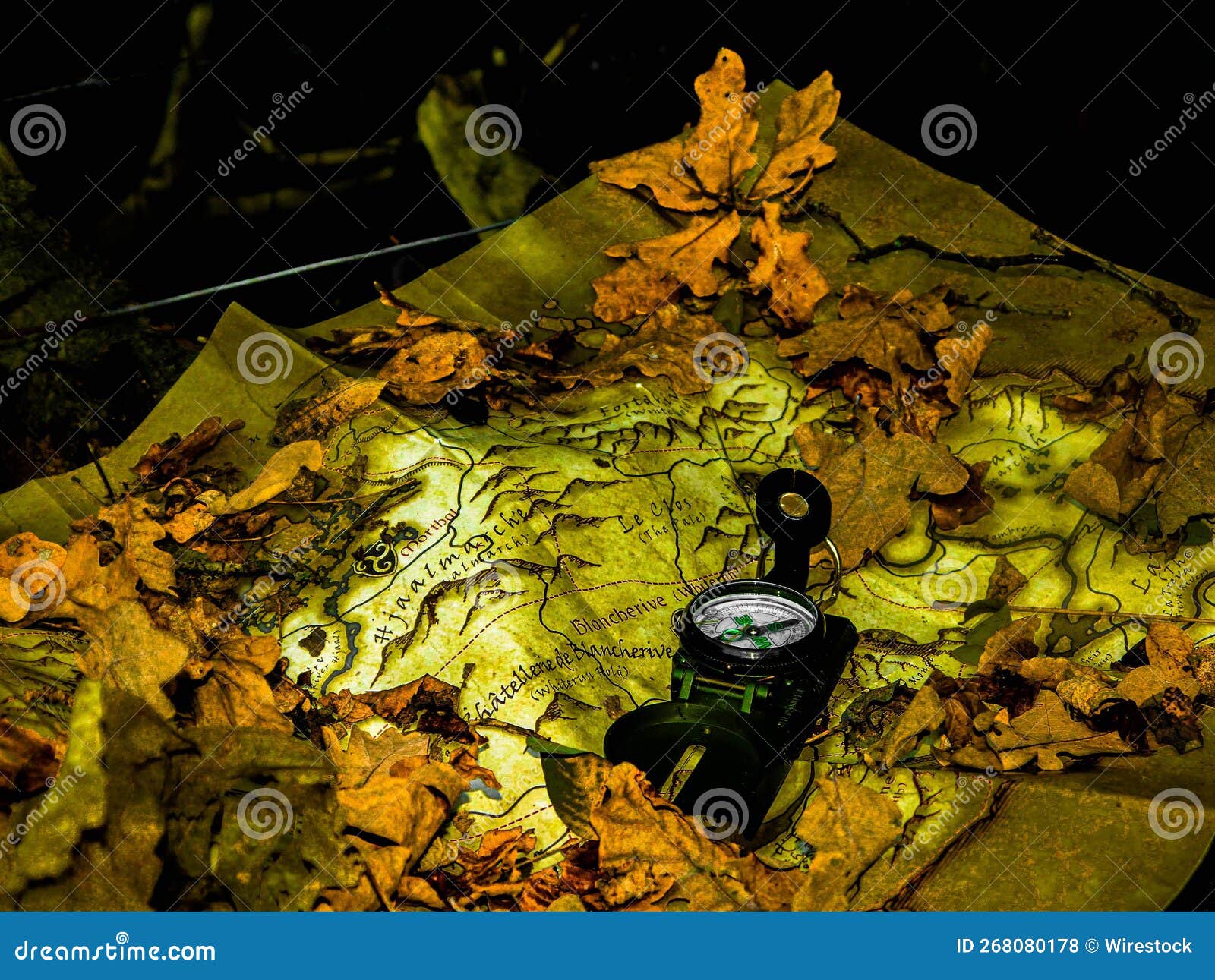 Closeup Shot of a Compass and Autumn Leaves on a Map Stock Photo ...