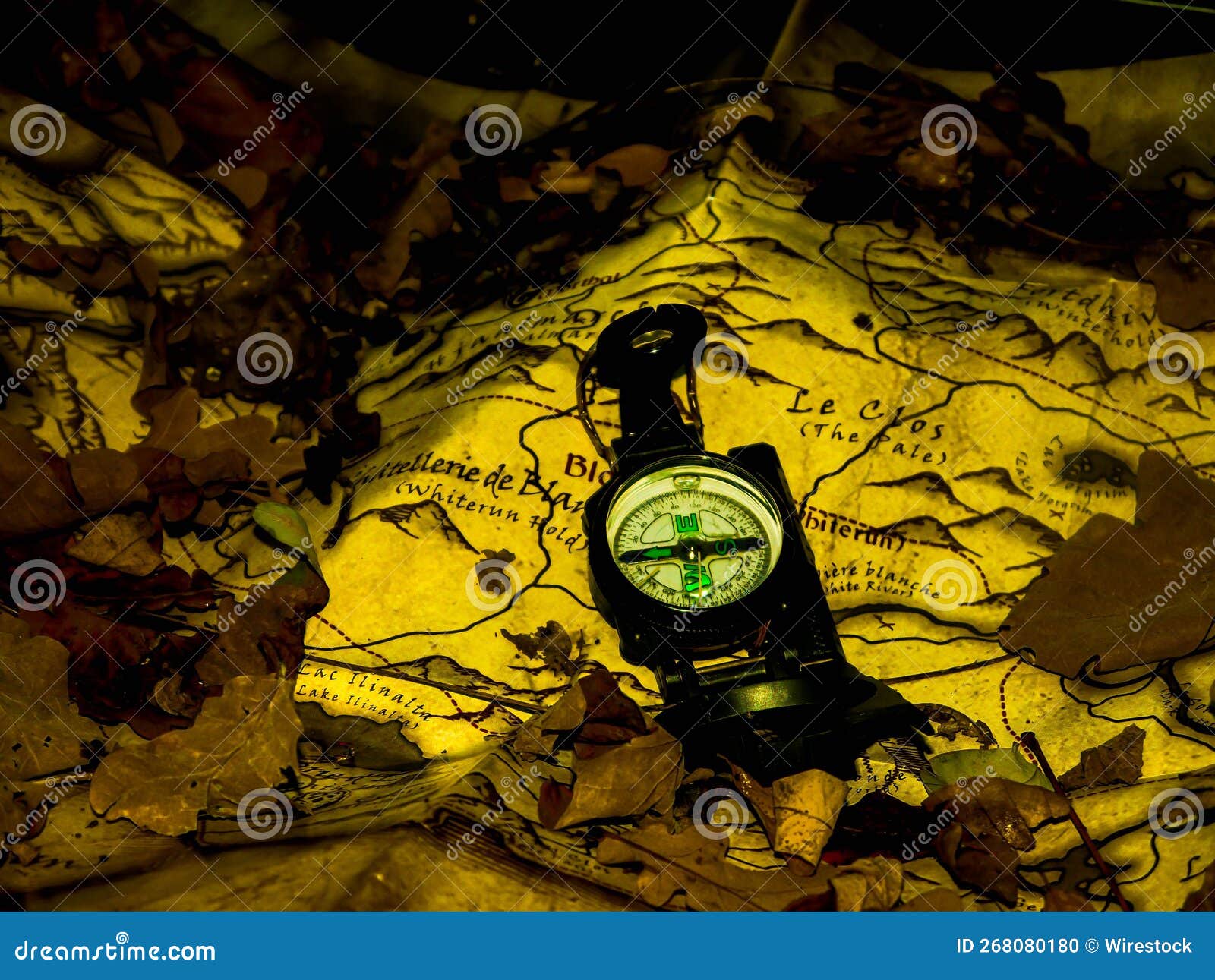 Closeup Shot of a Compass and Autumn Leaves on a Map Stock Photo ...