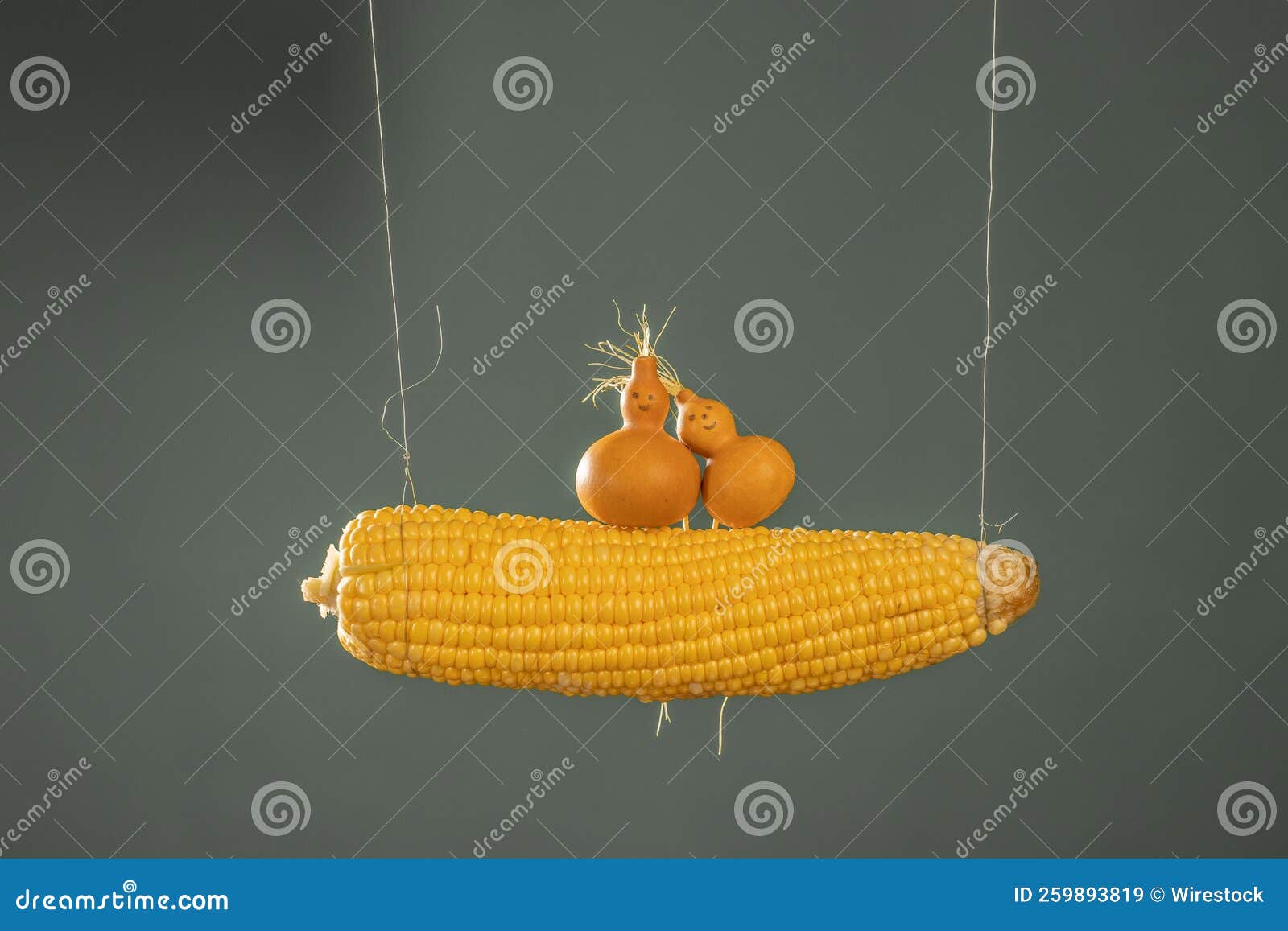 Closeup Shot of a Corn on the Cob Hanging on a String with Cute Figures ...
