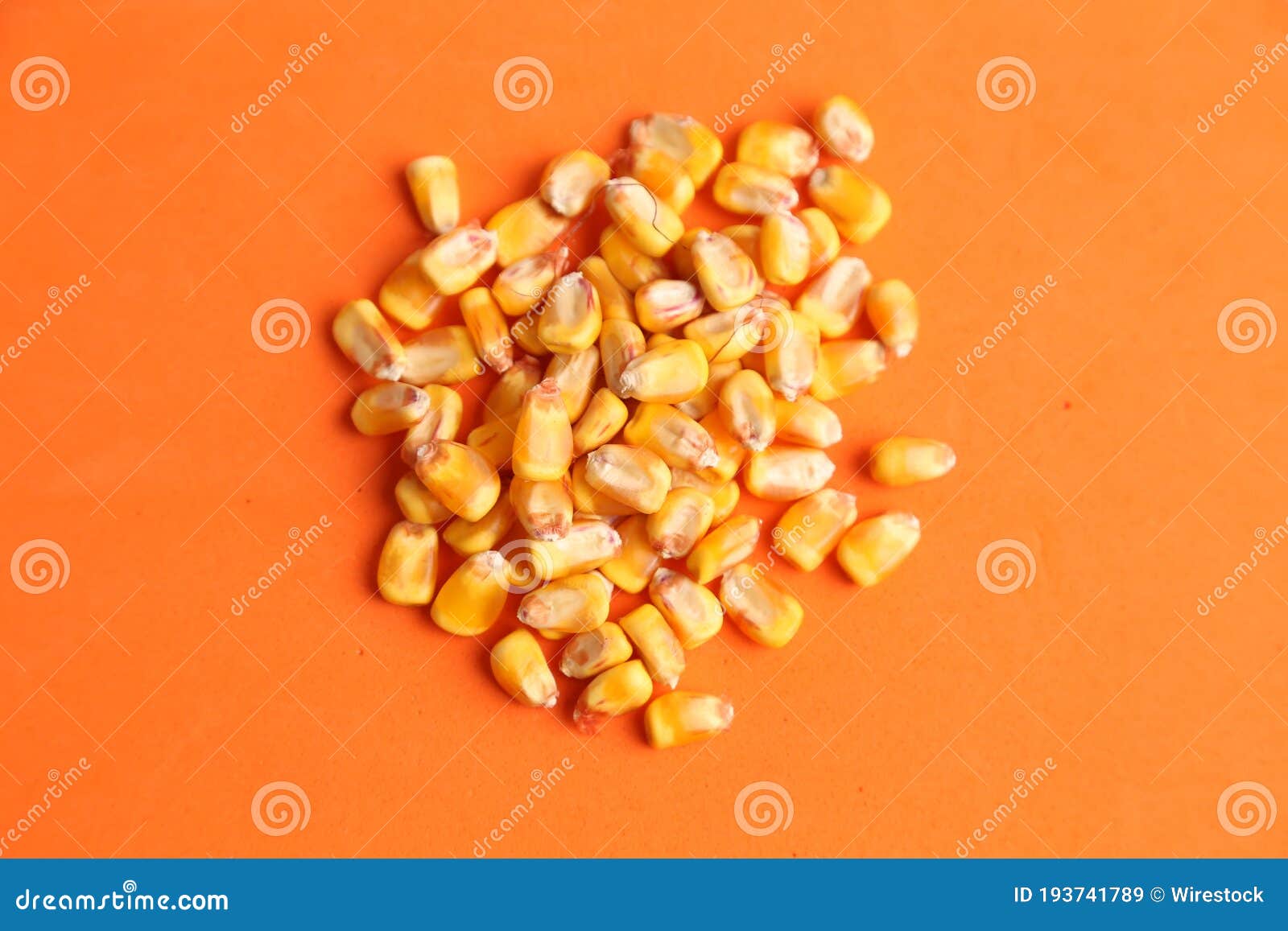 Closeup Shot of Corn Kernels on an Orange Surface Stock Image - Image ...