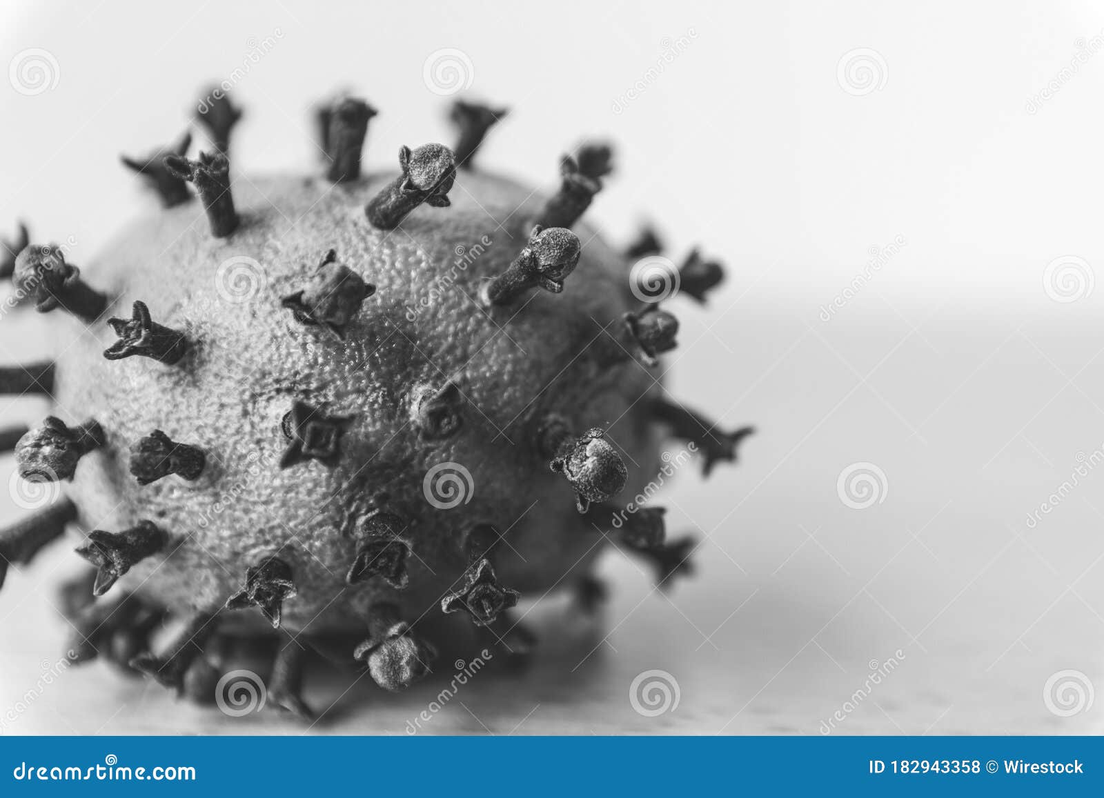 Closeup Shot of a Coronavirus Grey Cell on a White Background Stock ...