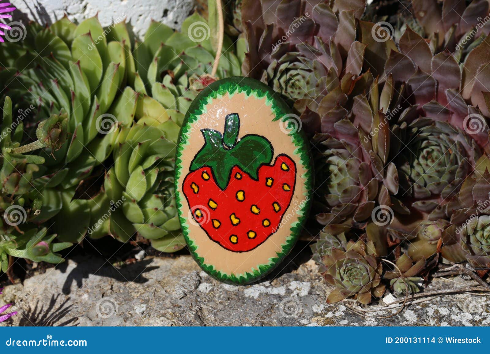 Closeup Shot of a Cute Painted Rock with a Strawberry Stock Photo ...