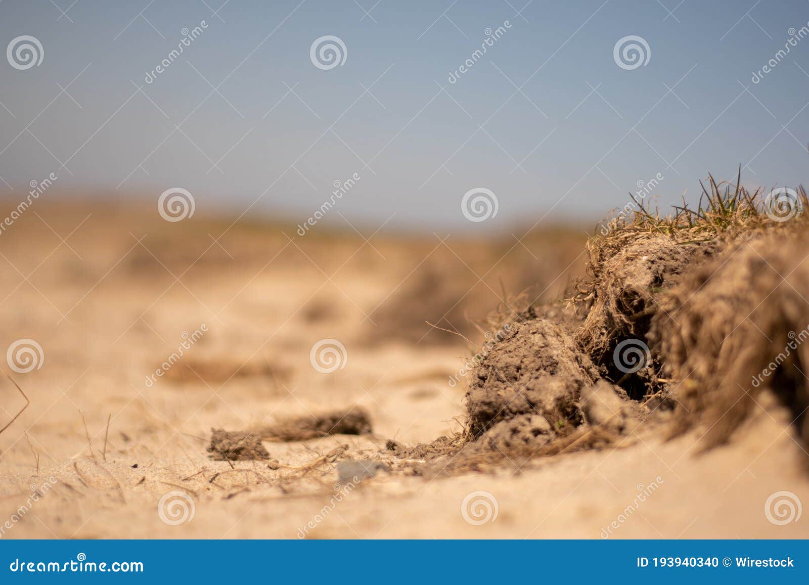Closeup Shot of a Deserted Plot of Land Stock Photo - Image of outdoors ...